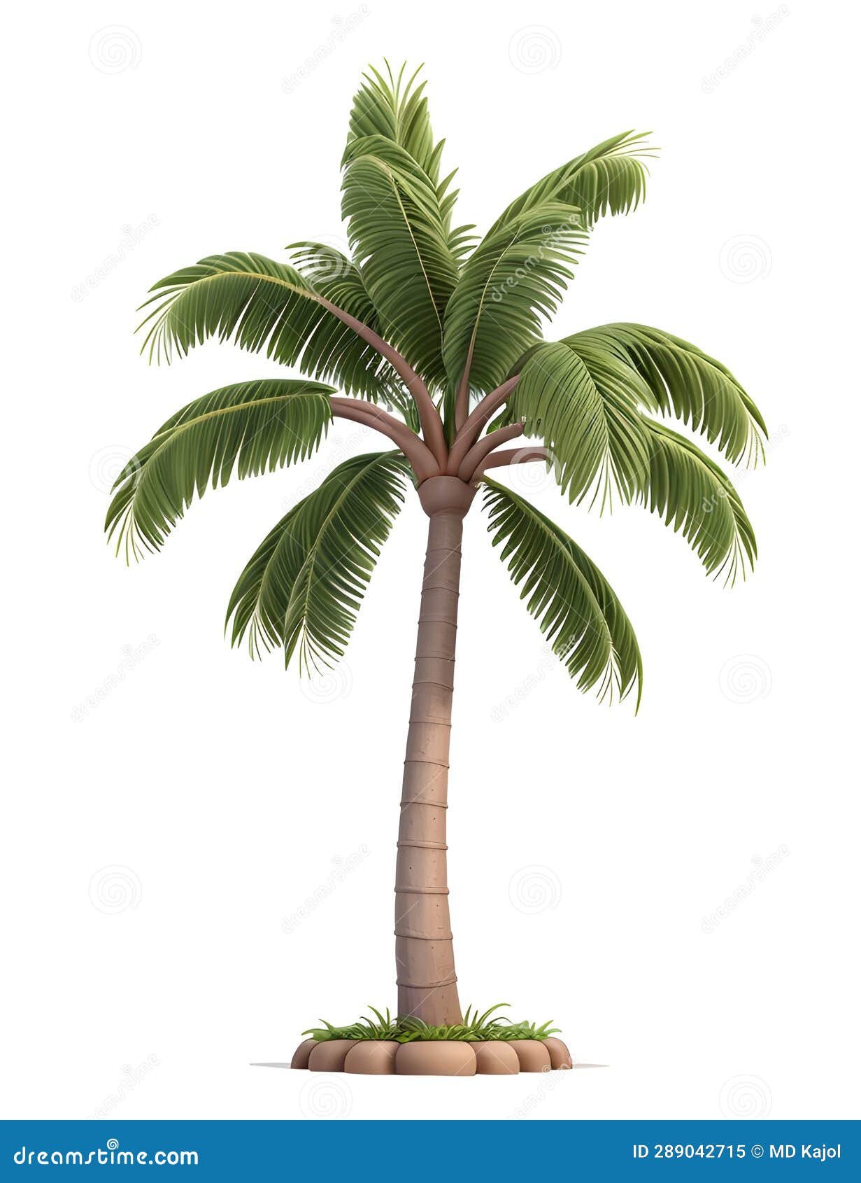 Coconut Tree Isolated White Background it S Designer Choice Stock ...