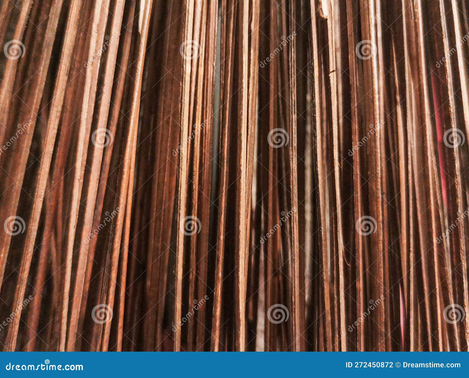 Coconut tree leaf sticks stock photo. Image of textured - 272450872