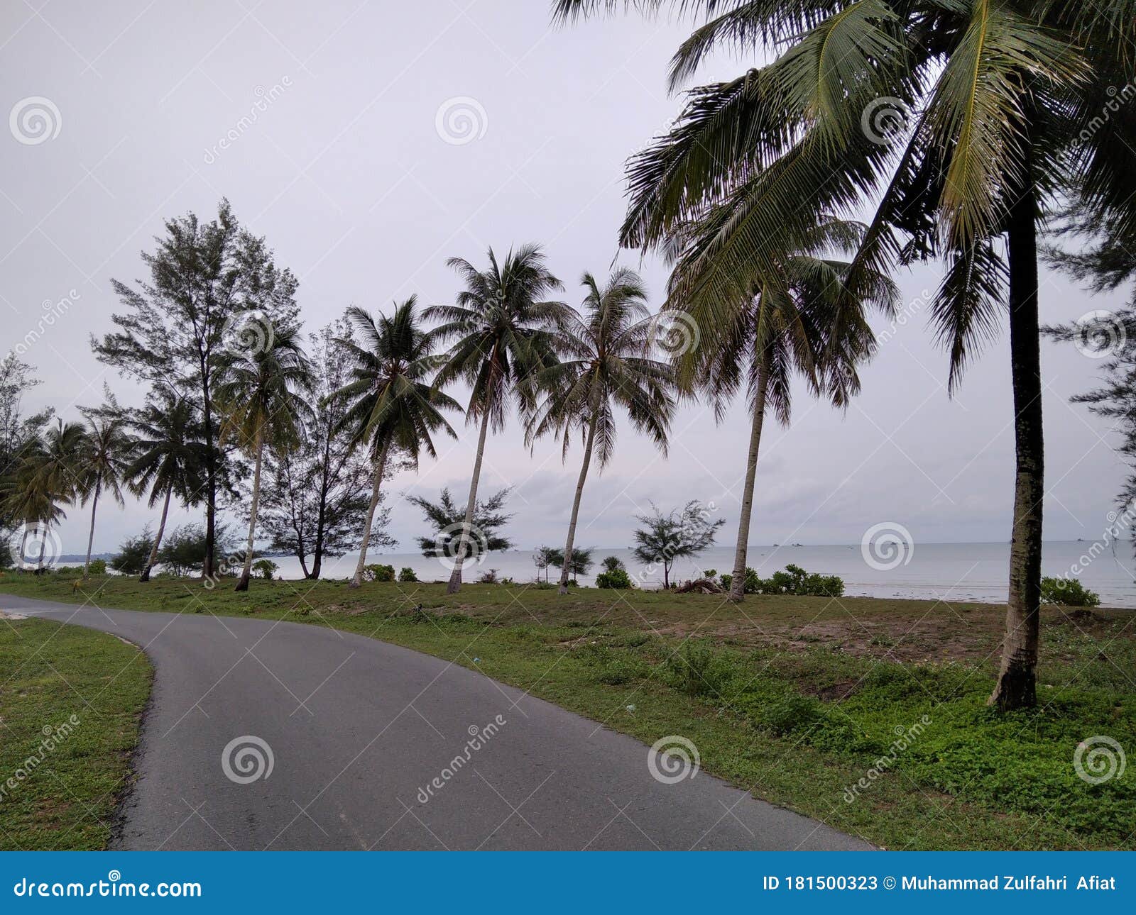 Royalty Free Images, Cartoons, Illustrations And Photos Designed By ...