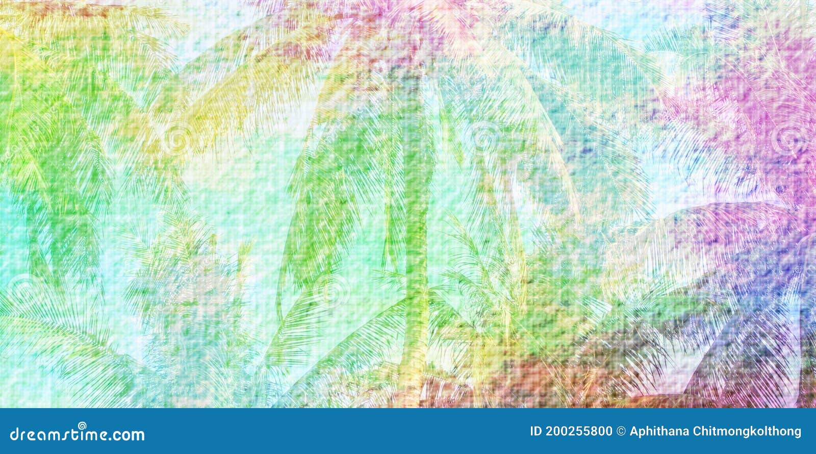 Coconut Tree on Multi Color Background . Abstract Coconut Leaves ...