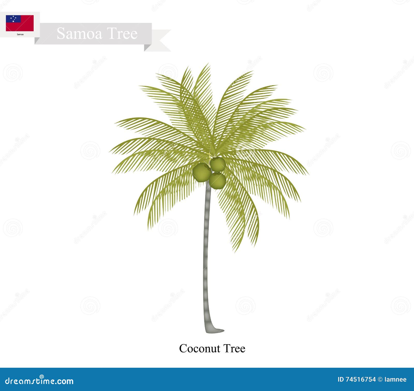 Coconut Tree, a Native Tree of Samoa Stock Vector - Illustration of ...