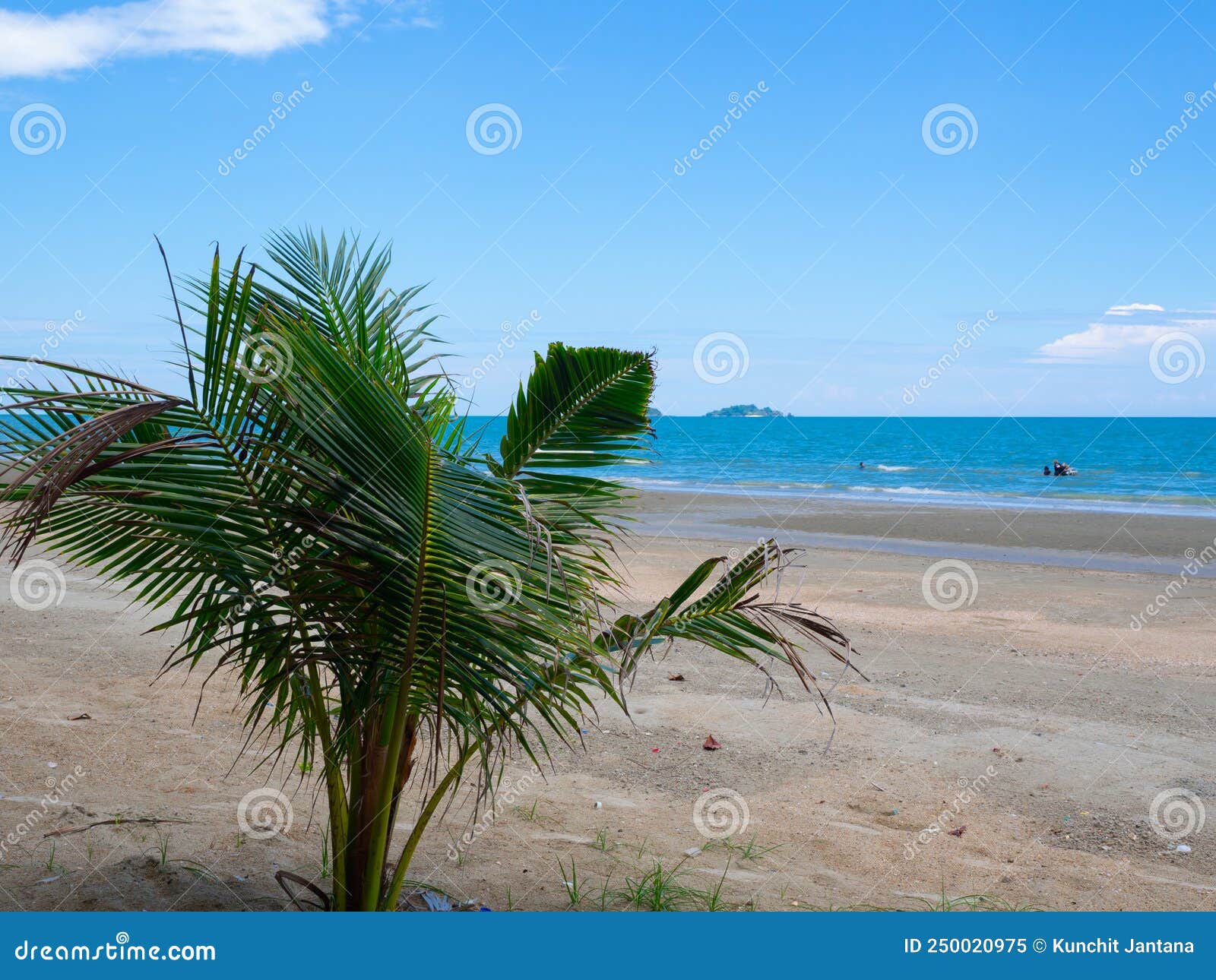 Coconut Tree and Ocean Wave on Sandy Beach. Stock Image - Image of leaf ...