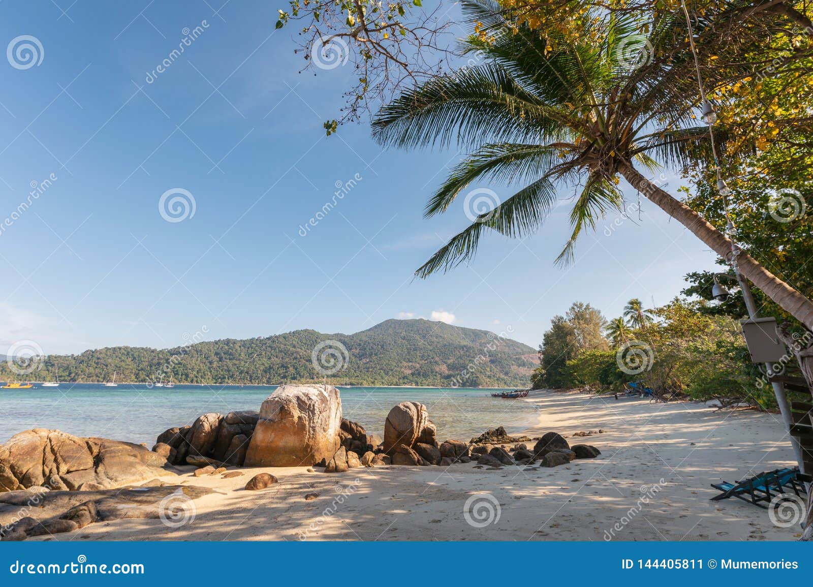 Coconut Tree with Rocks on the Beach in Tropical Sea Stock Image ...