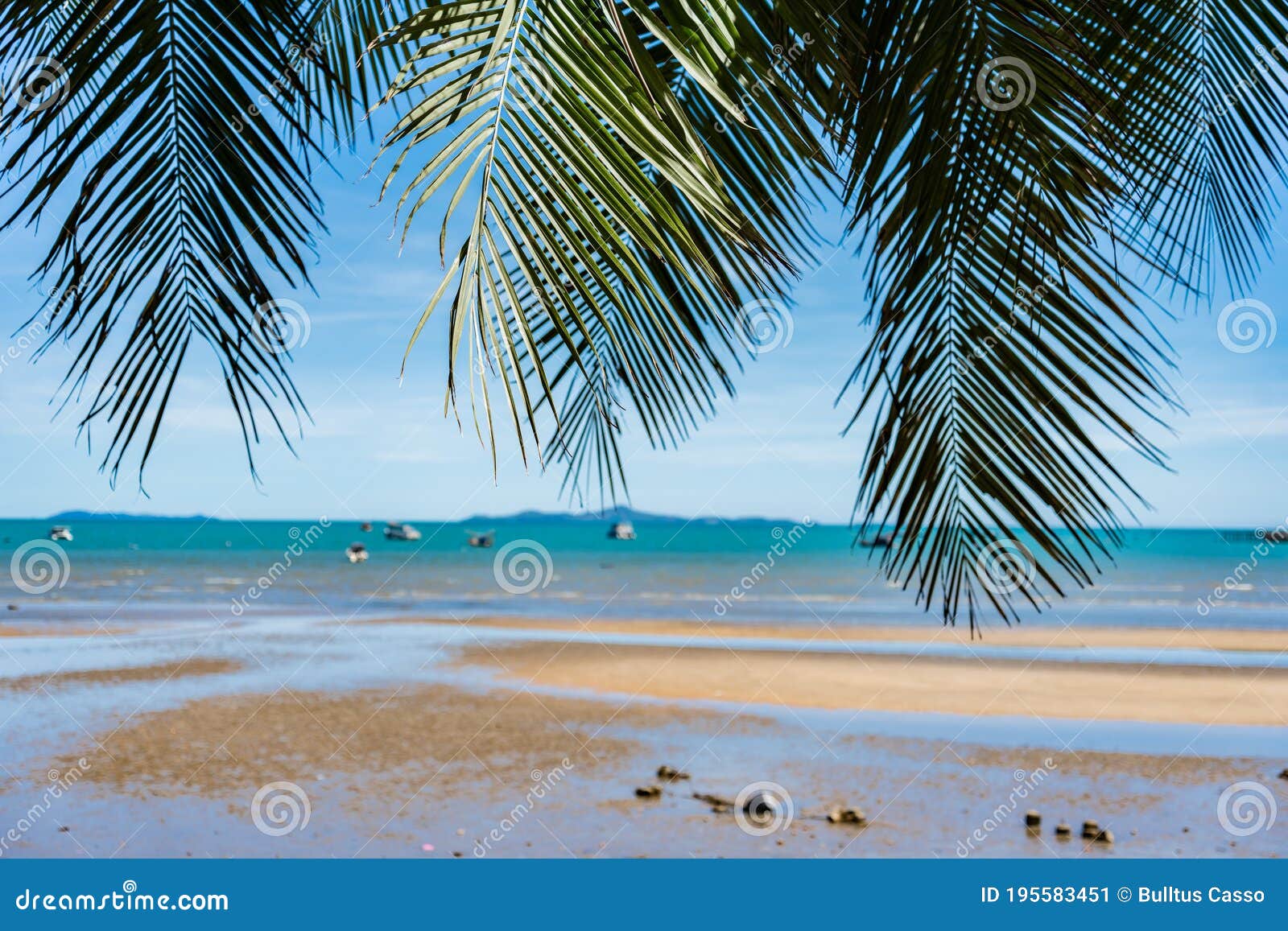 Coconut Tree and Scenery Beach with Blue Sky Stock Image - Image of ...