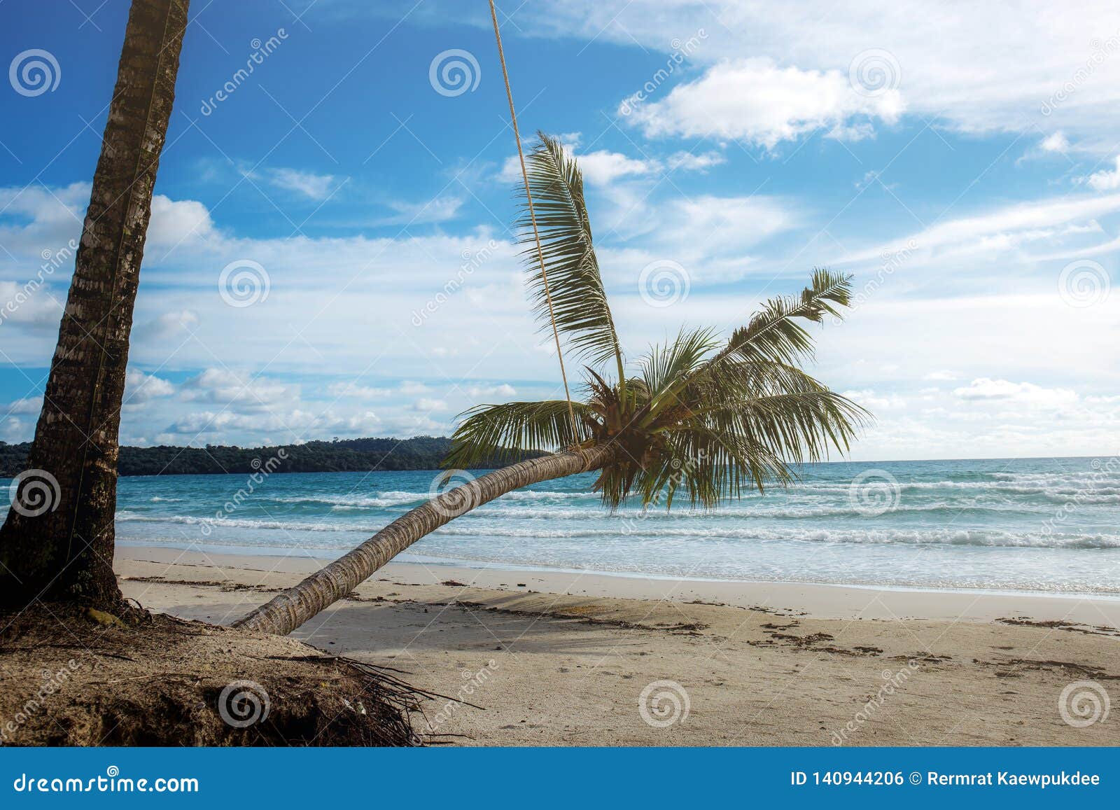 Coconut tree at sea stock photo. Image of island, tranquil - 140944206