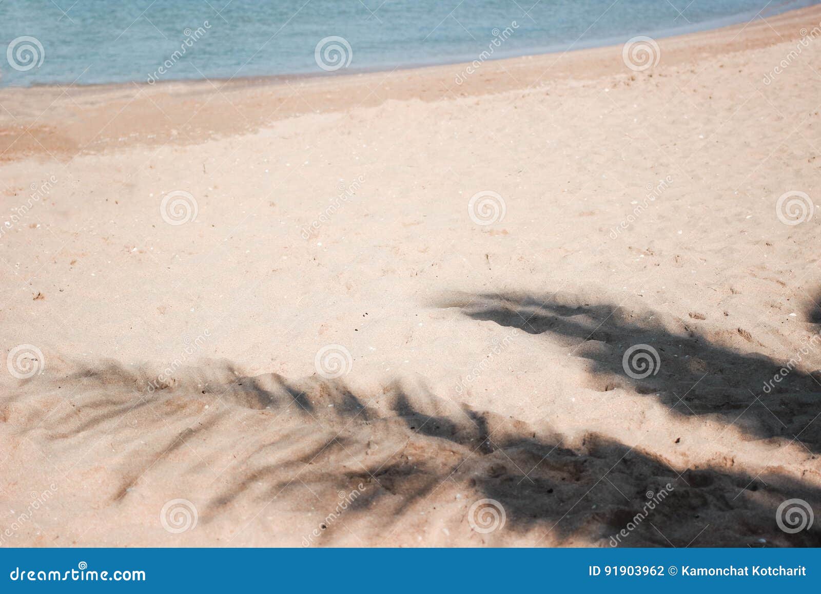 Coconut tree shadow stock photo. Image of travel, beach - 91903962