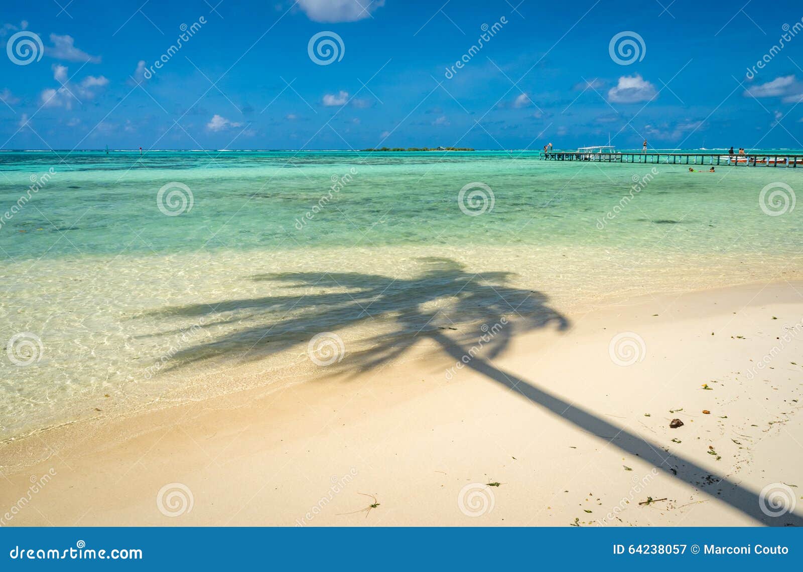 Coconut Tree Shadow on a Beach in Moorea Stock Image - Image of exotic ...