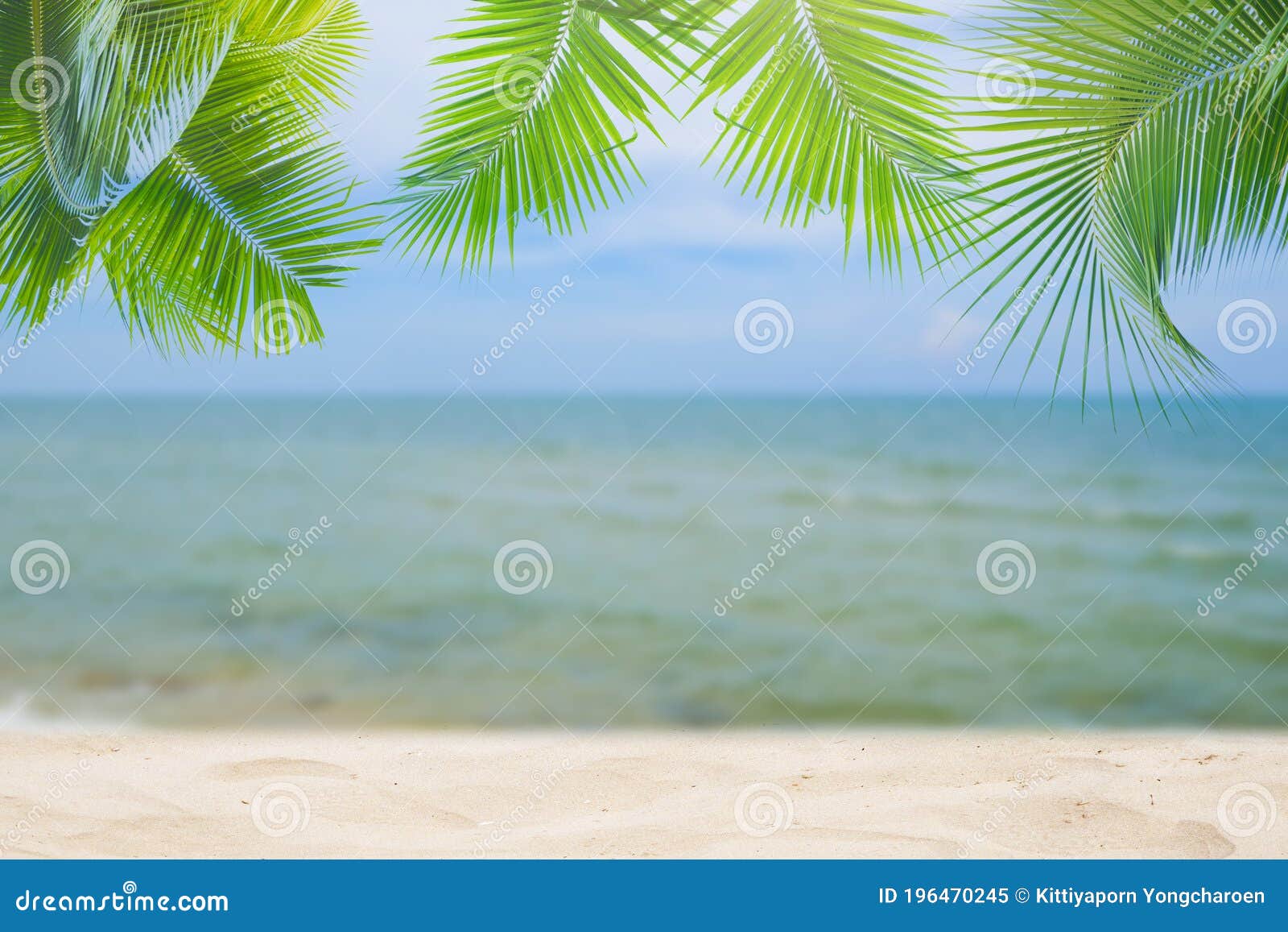 Coconut Tree with Summer Beach Background Stock Image - Image of ...