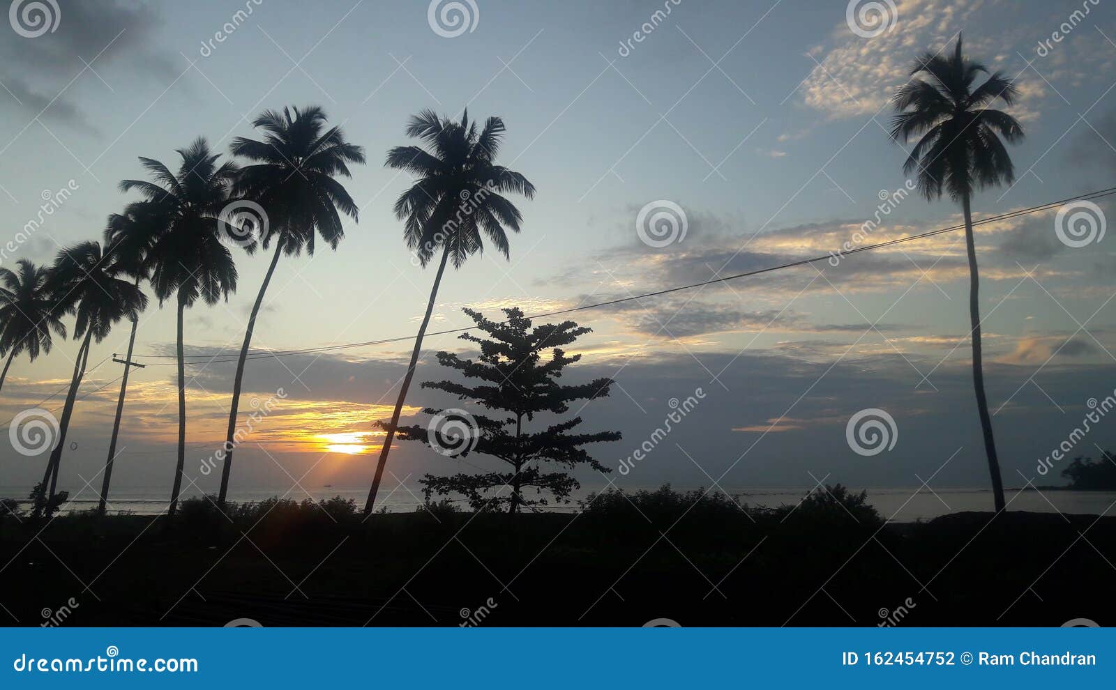 Coconut tree Sun rise stock photo. Image of tree, rise - 162454752
