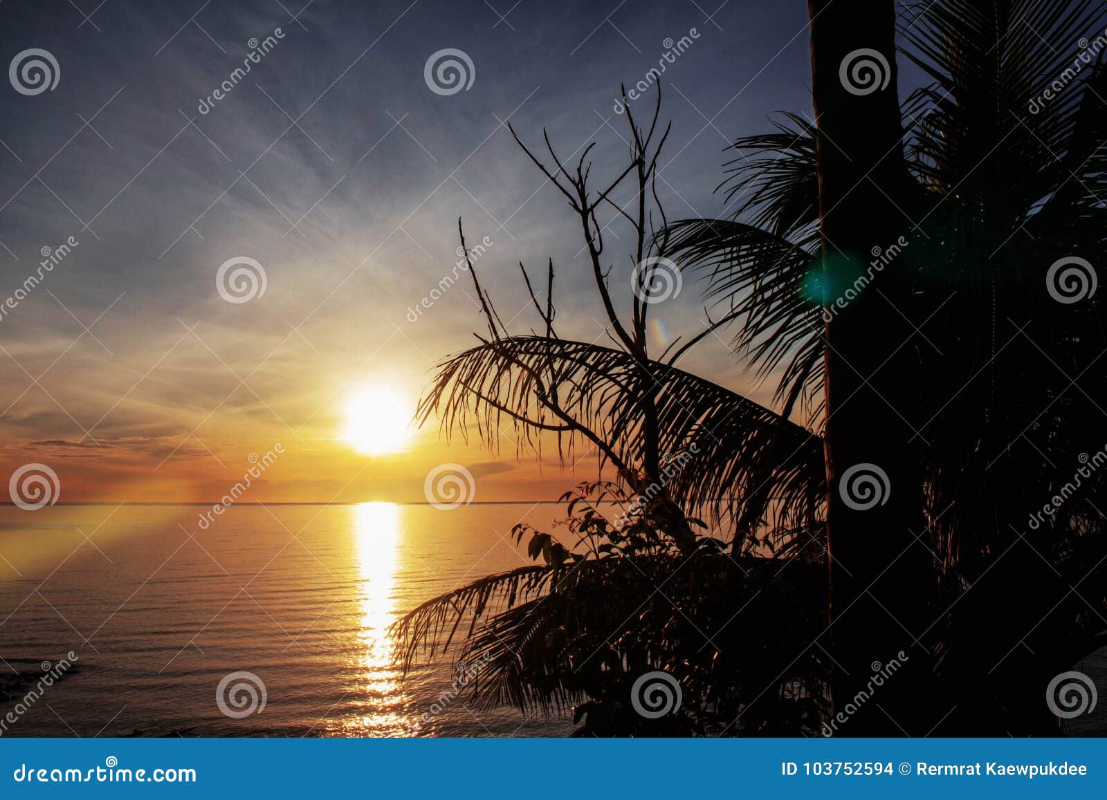 Coconut tree with sunset. stock photo. Image of clouds - 103752594