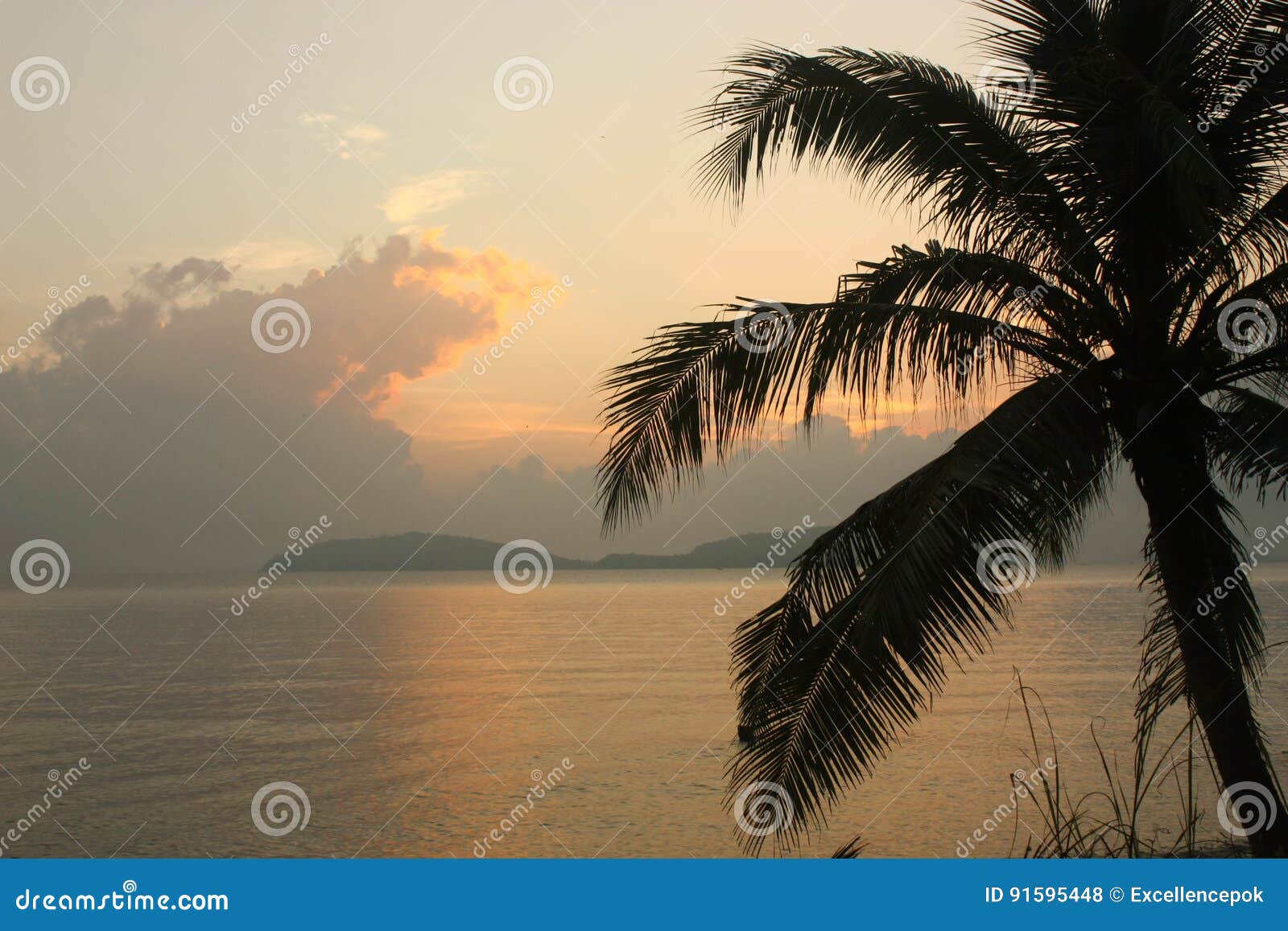 Coconut tree and sunset stock photo. Image of islands - 91595448