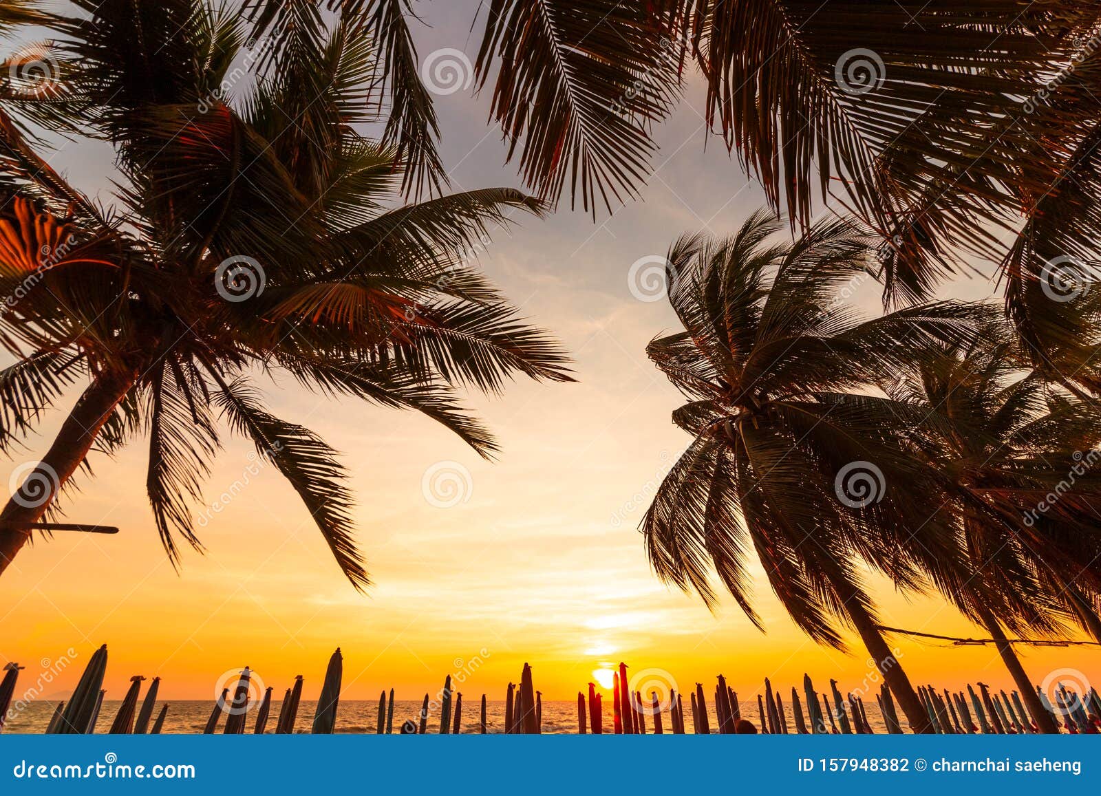 The Coconut Tree and Sunset Sky in Summer.Summer Background Concept ...