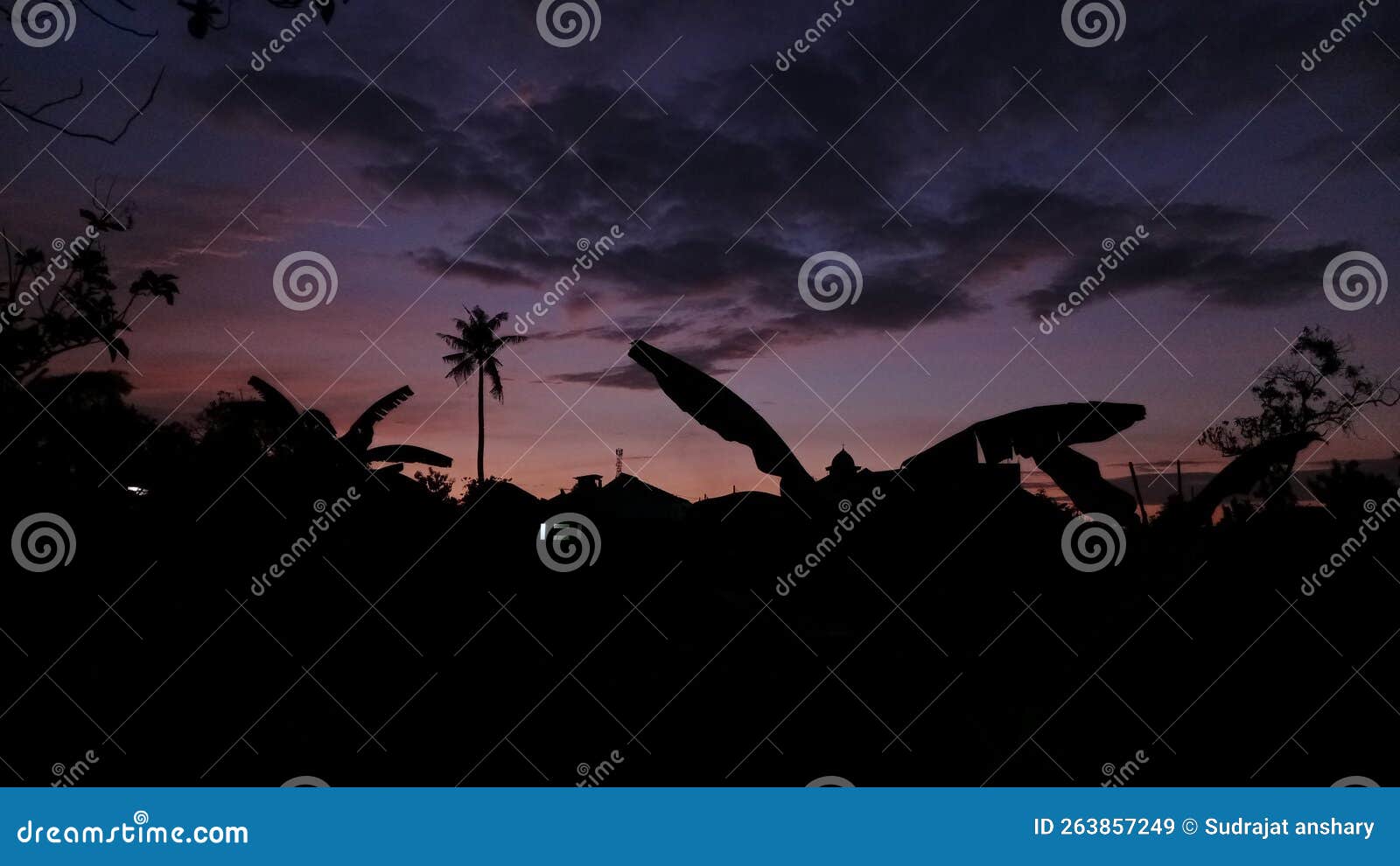 Coconut Tree and Sunset Today Stock Image - Image of cloud, sunset ...