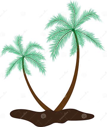 Coconut tree stock vector. Illustration of freedom, drawing - 38784993