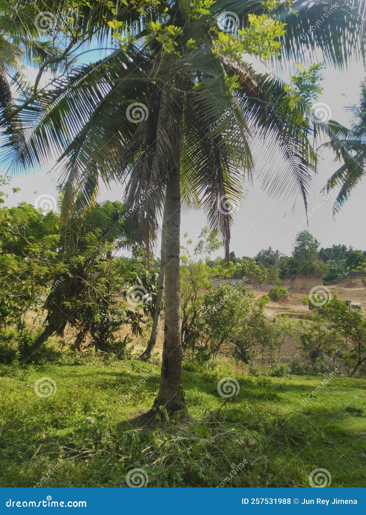 Destroyed Quarried Land Stock Photos - Free & Royalty-Free Stock Photos ...