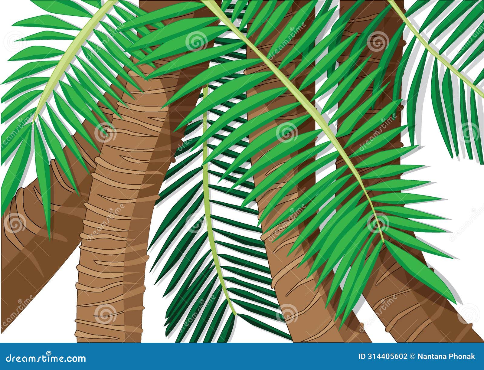 Coconut Tree on White Background Illustration Vector Stock Vector ...