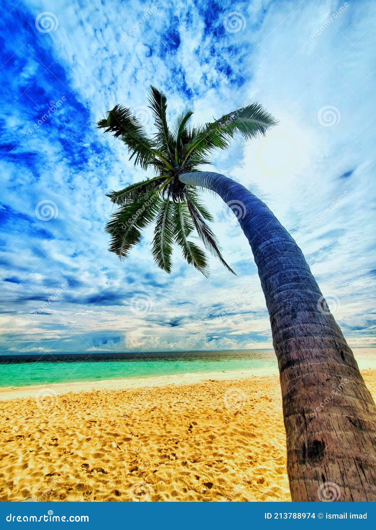Coconut Tree and Yellow Sand Beach. Stock Photo - Image of yellow ...