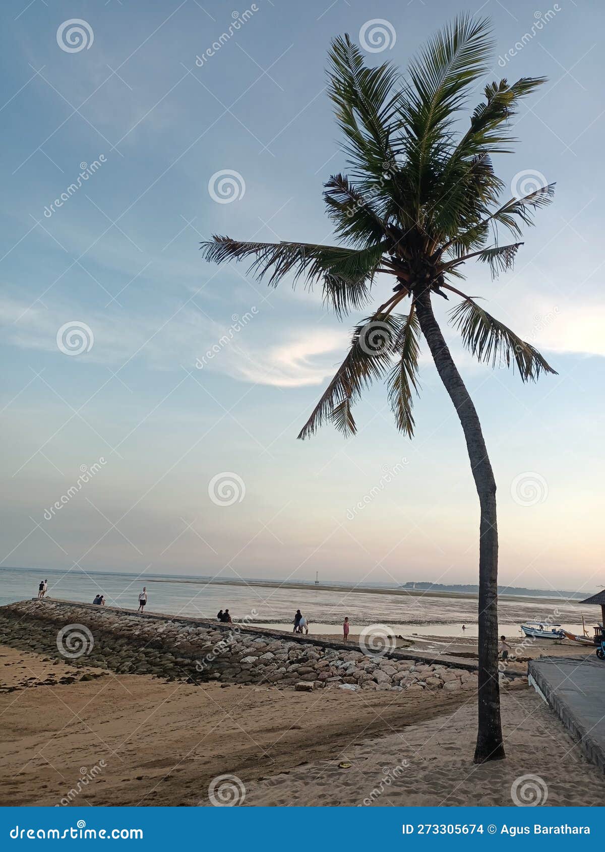 Coconut Trees on the Beach at Dusk Stock Photo - Image of coconut ...
