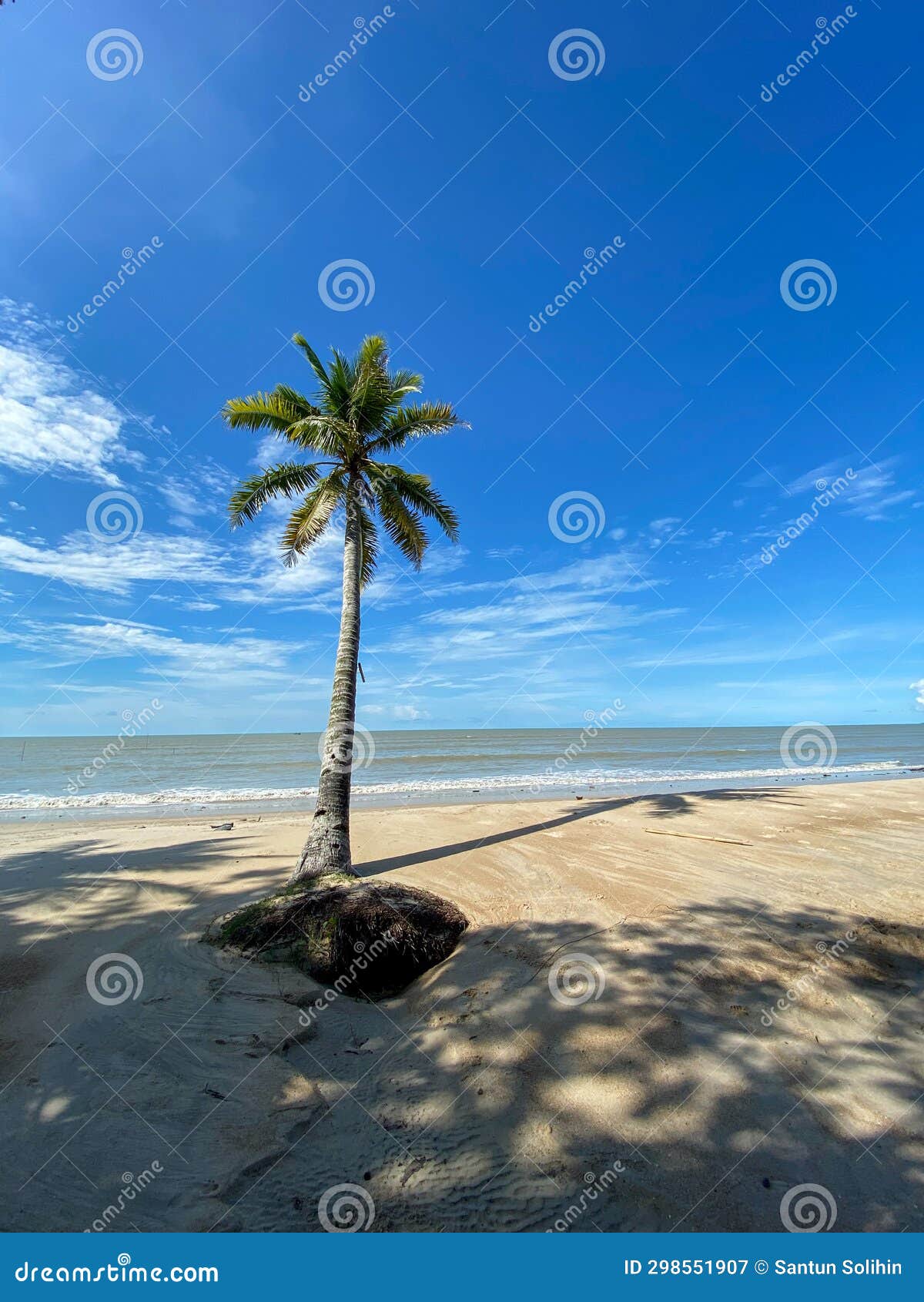 Coconut trees on the beach stock image. Image of holiday - 298551907