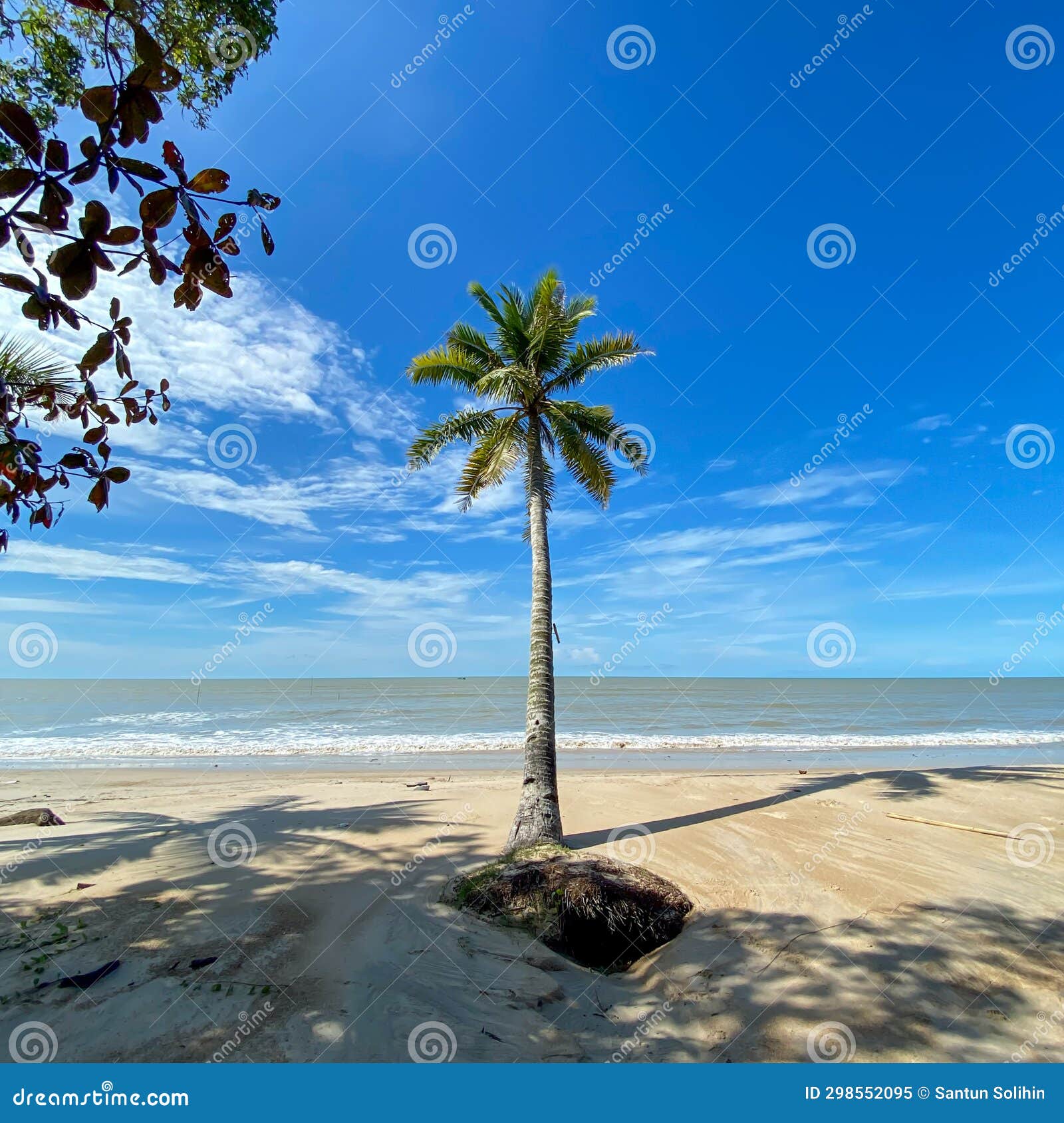 Coconut trees on the beach stock image. Image of blue - 298552095