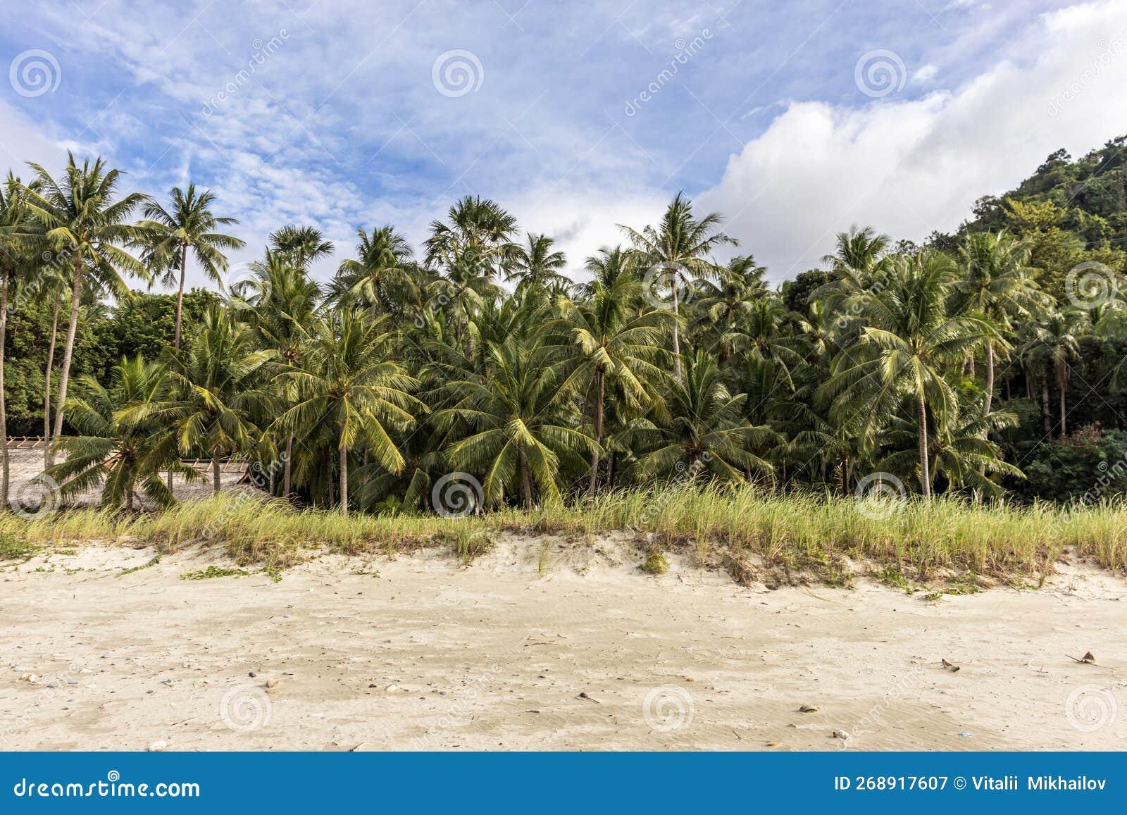 Coconut Trees and Blue at Aninuan Beach on Mindoro Island! Stock Image ...
