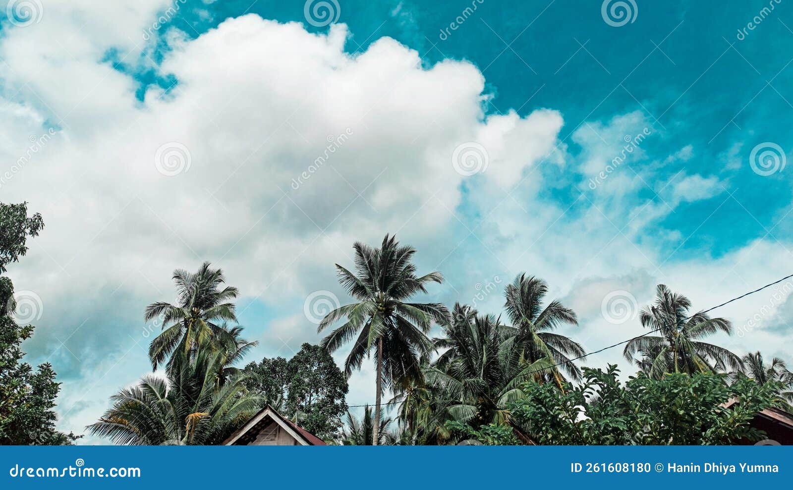 Coconut Trees at the Clouds Stock Photo - Image of sunlight, resort ...