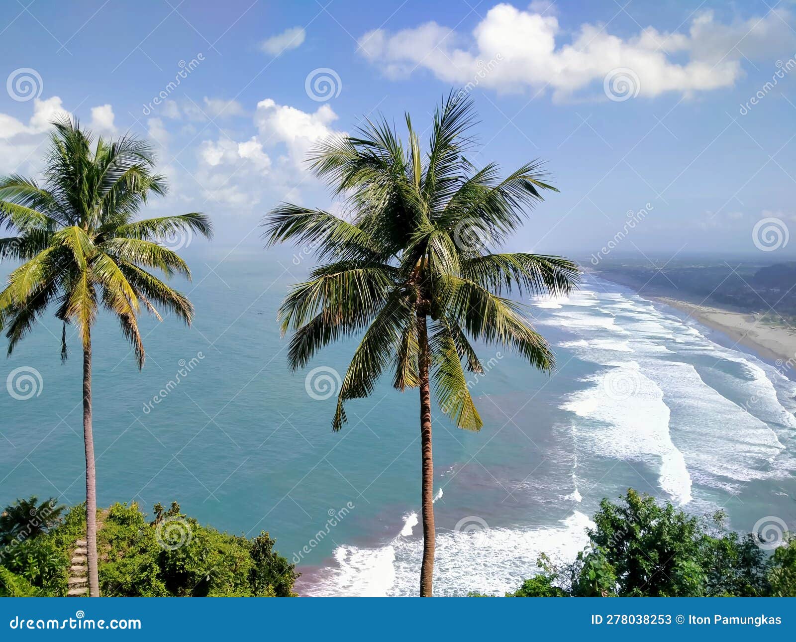 Coconut Trees Near the Seaside Cliffs Stock Image - Image of island ...