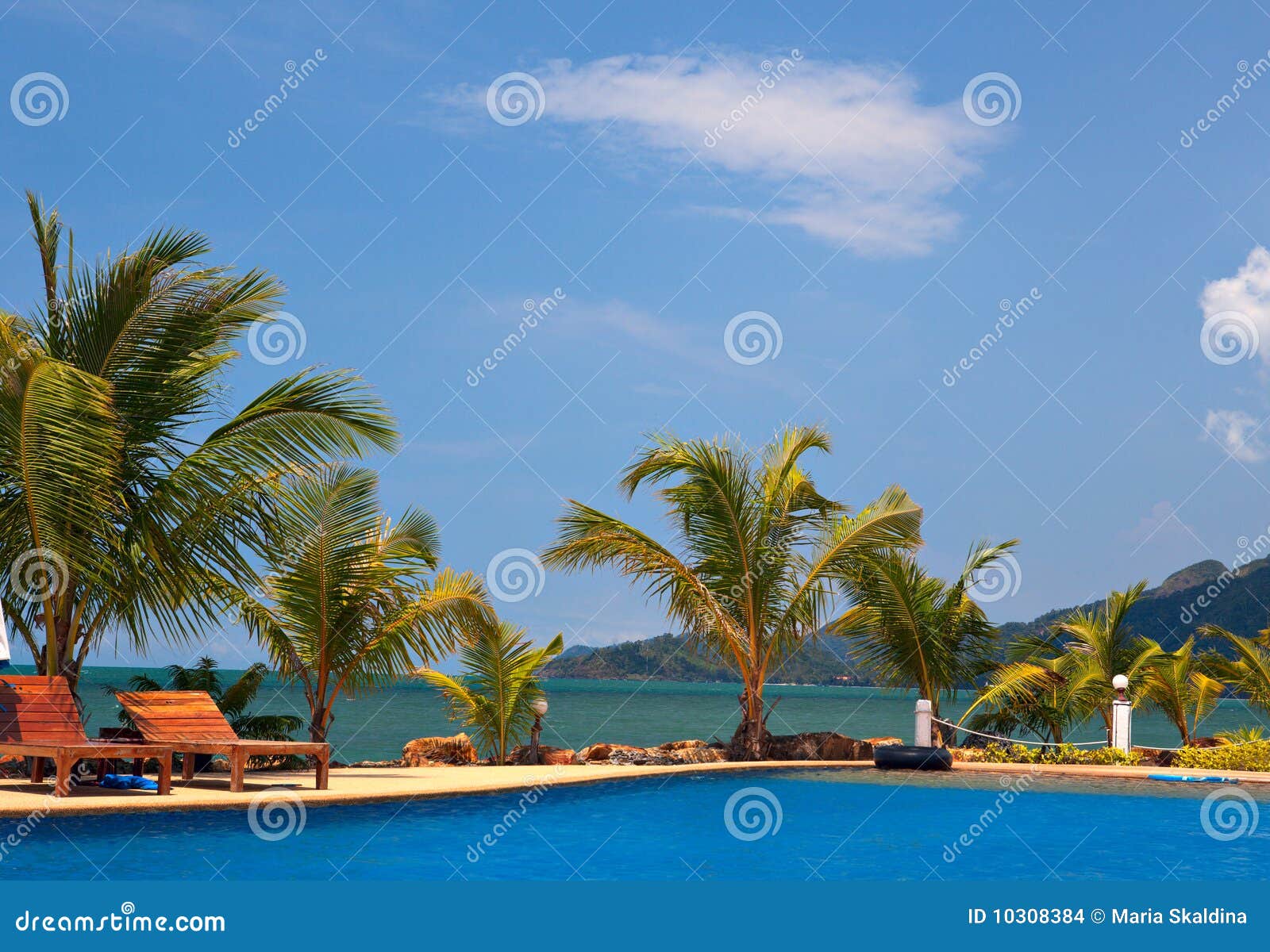 Coconut Trees Near Swimming Pool Stock Photo - Image of luxury, tree ...