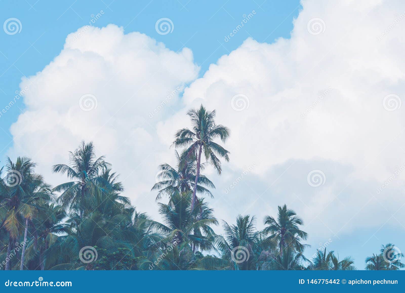 Coconut Trees that Stretch Along the Beach and Clouds Floating in the ...