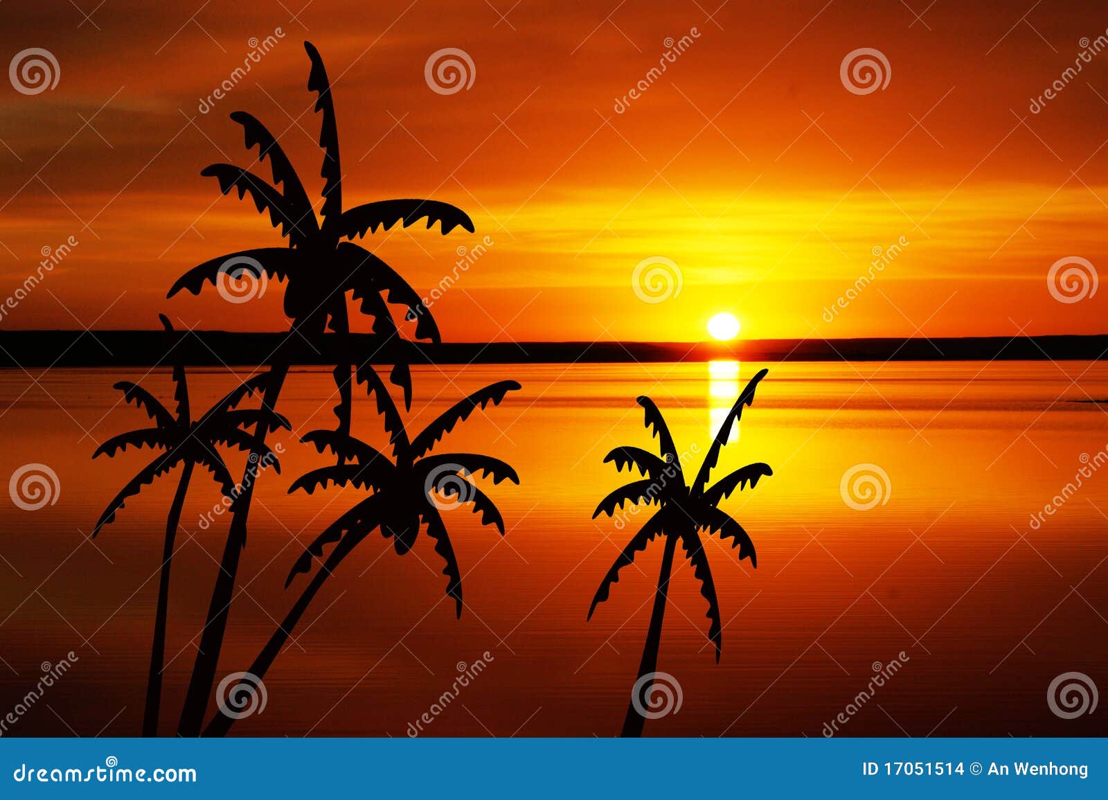Coconut trees at sunset stock photo. Image of vacation - 17051514