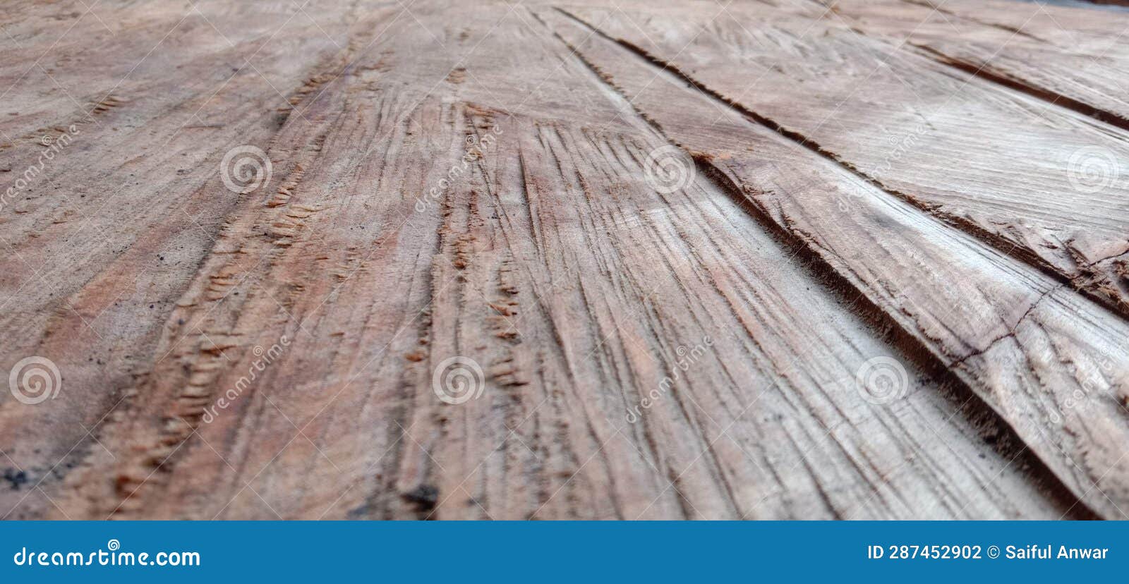 Coconut Trunk Split into Planks and Visible Fiber Stock Photo - Image ...