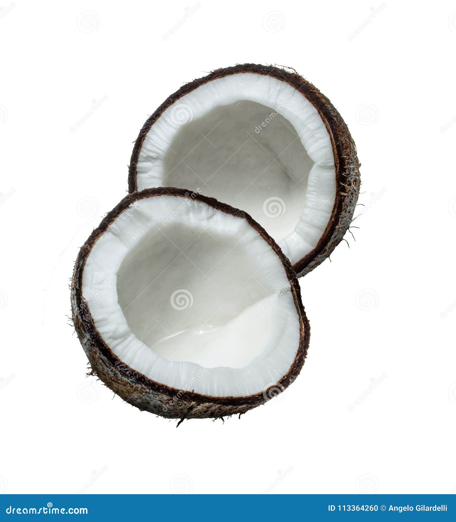 Coconut in two halves stock photo. Image of tropical - 113364260