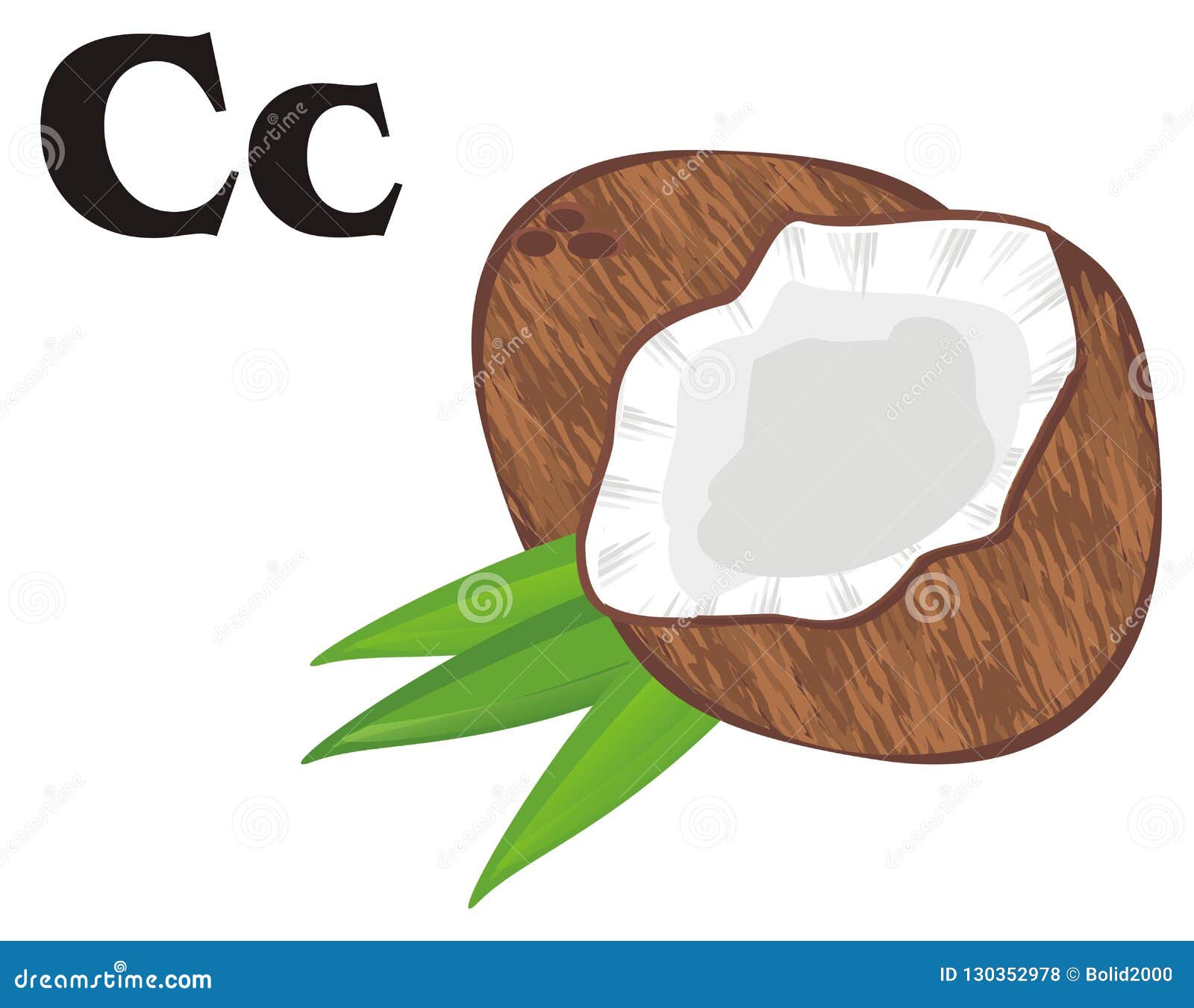 Coconut and two letters stock illustration. Illustration of fresh ...