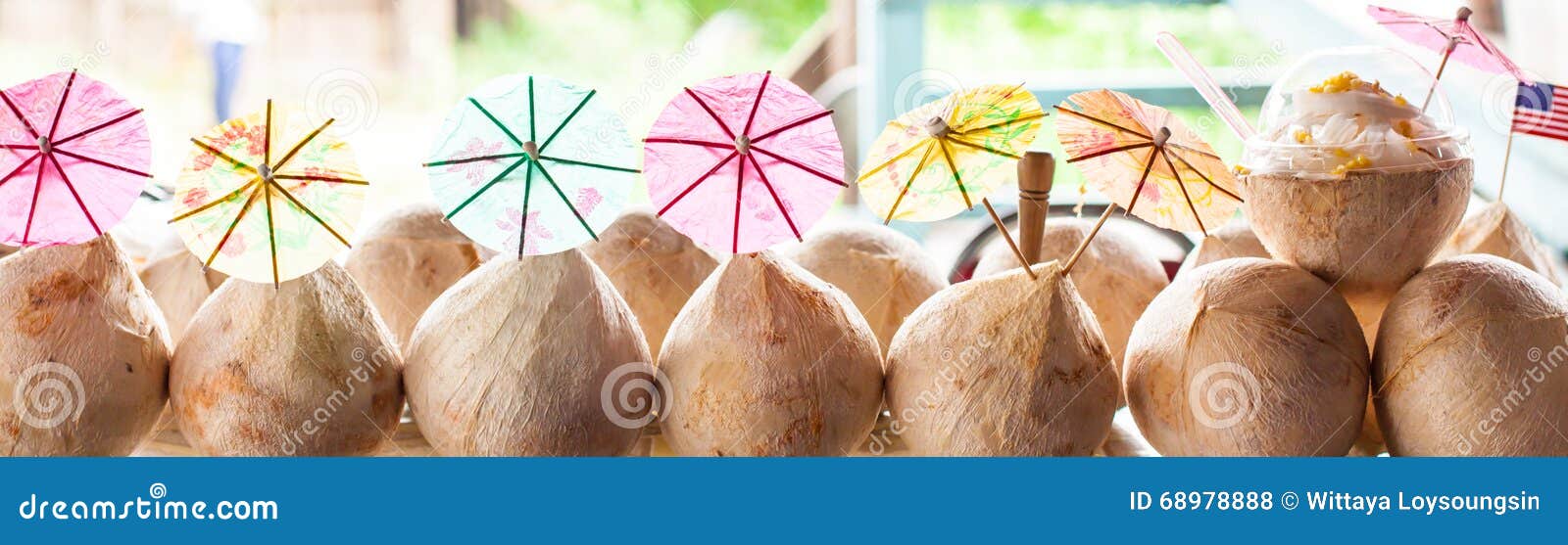 Coconut with umbrella stock photo. Image of summer, umbrella - 68978888
