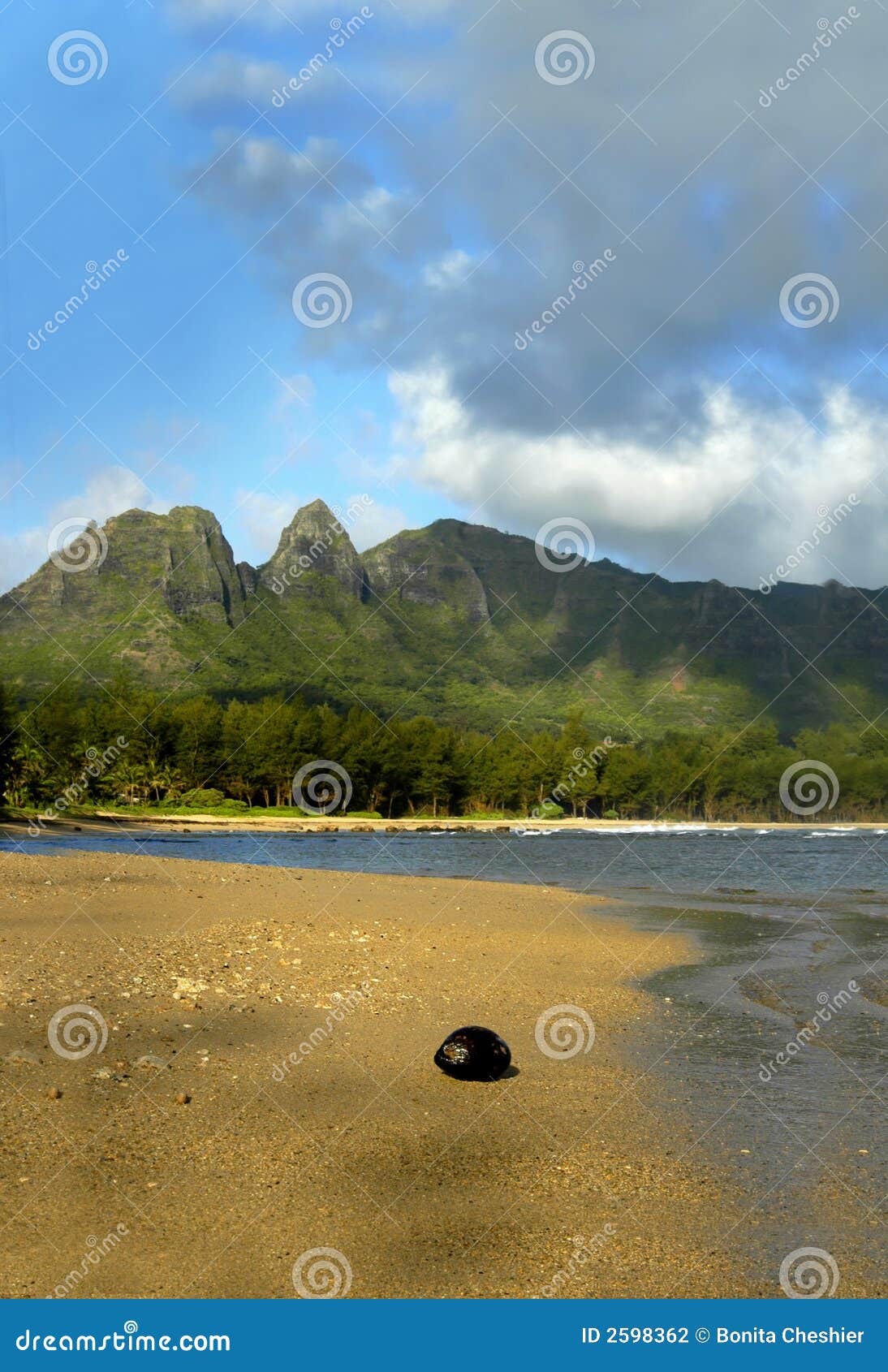 Coconut View stock photo. Image of sandy, beautiful, deserted - 2598362