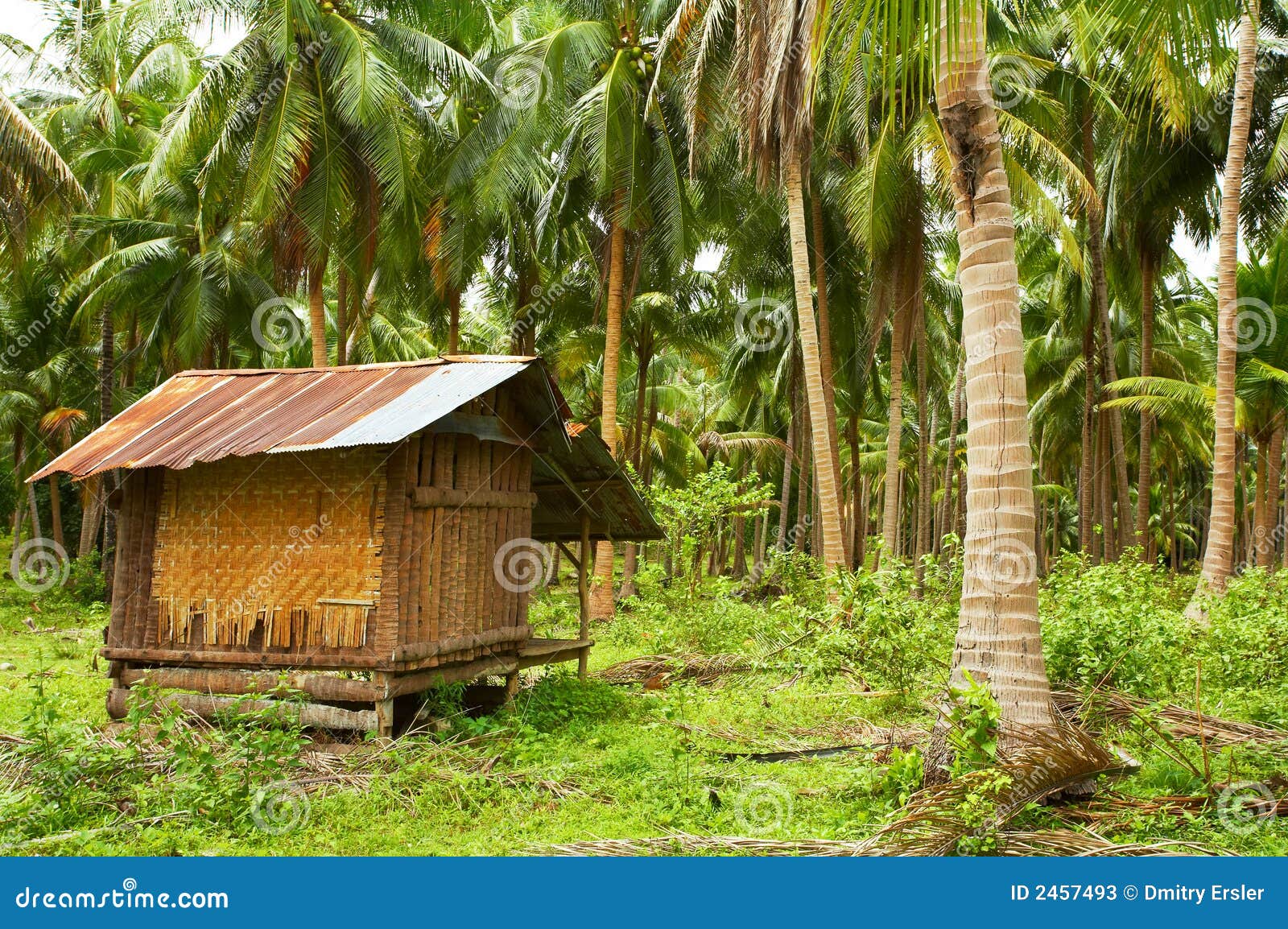 Coconut villa stock image. Image of coconut, shack, pavilion - 2457493