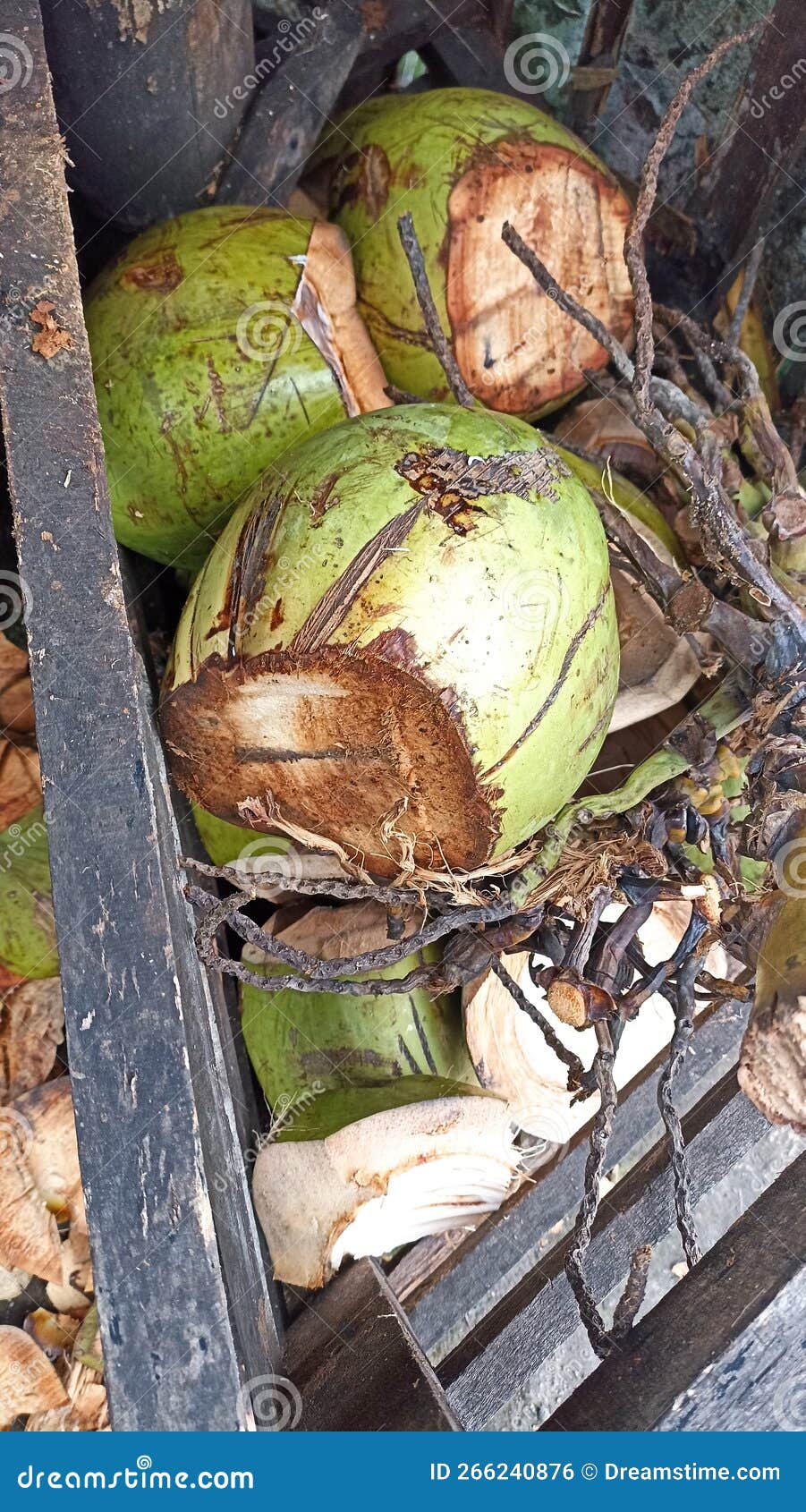 Coconut Waste Piled Up in the Garbage Container Stock Photo - Image of ...