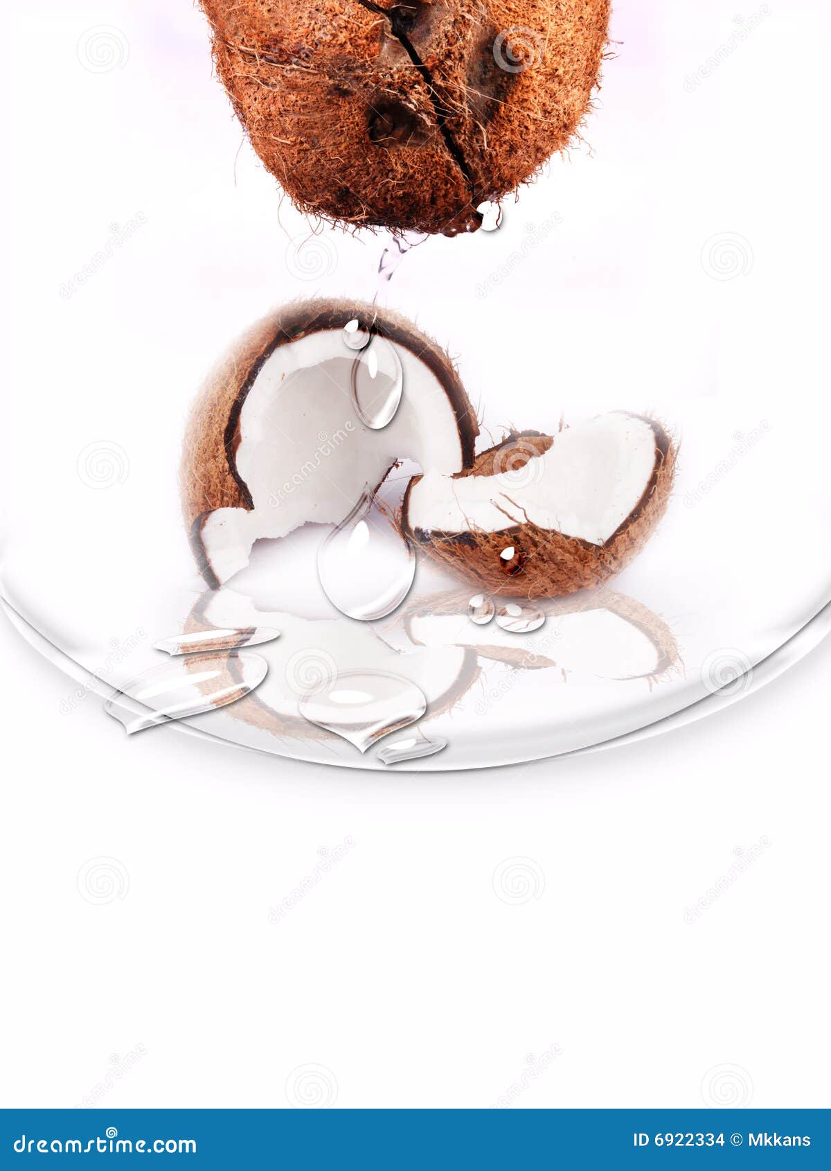 Coconut With Water Splash Stock Image | CartoonDealer.com #12688093
