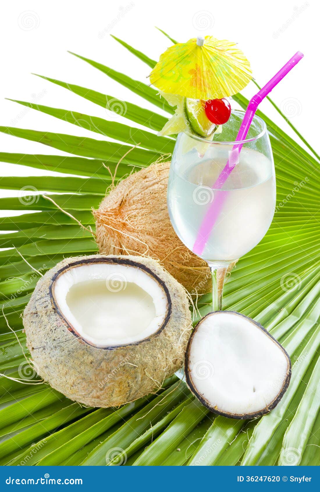 Coconut With Water Splash Stock Image | CartoonDealer.com #12688093