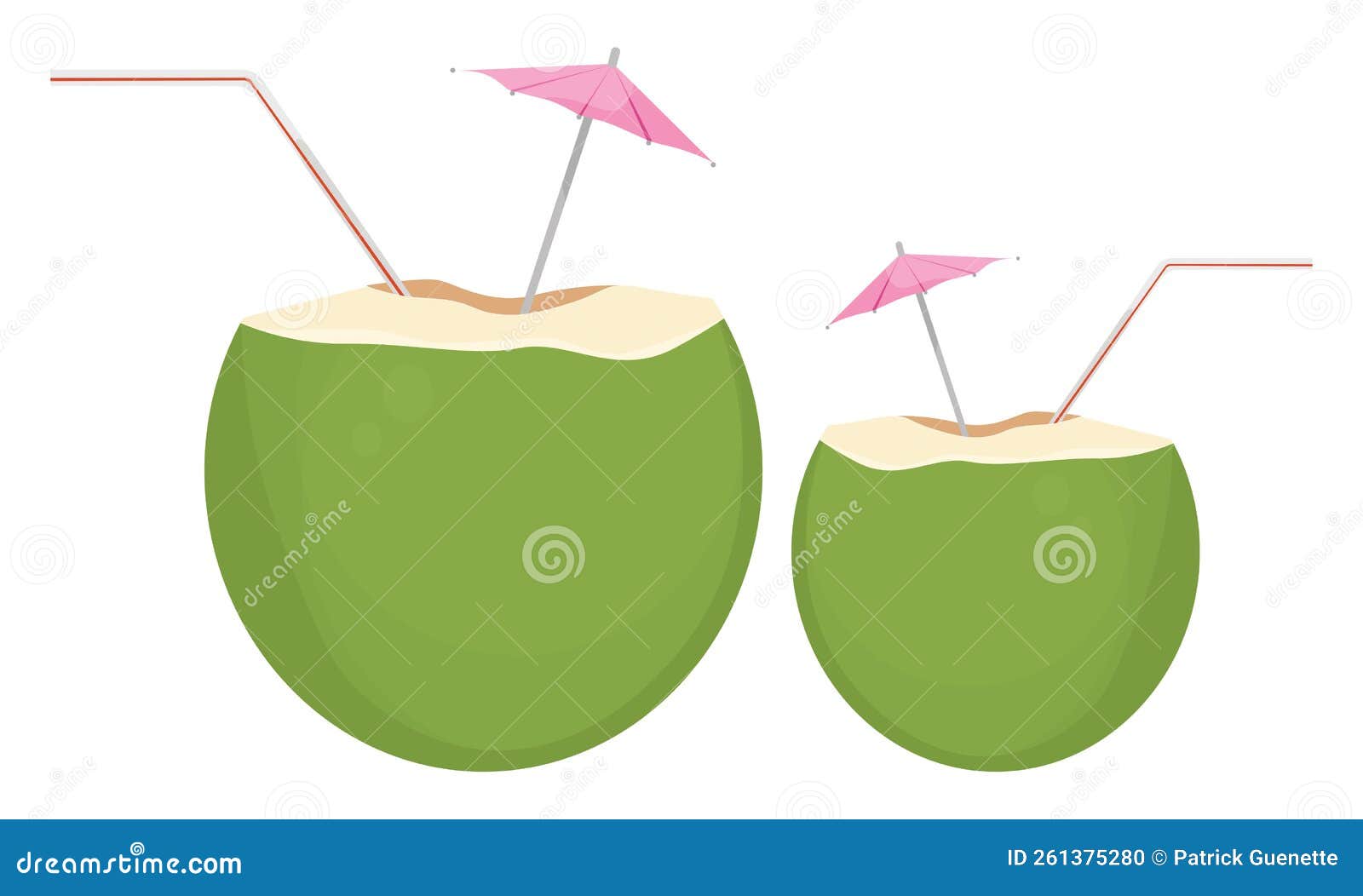 Coconut water, icon stock vector. Illustration of healthy - 261375280