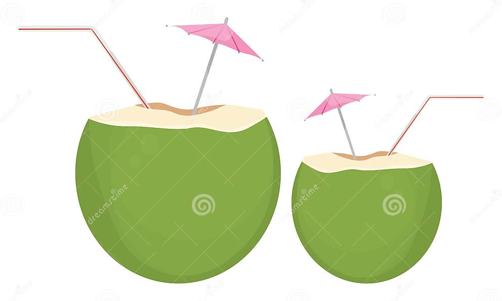 Coconut water, icon stock vector. Illustration of healthy - 261375280