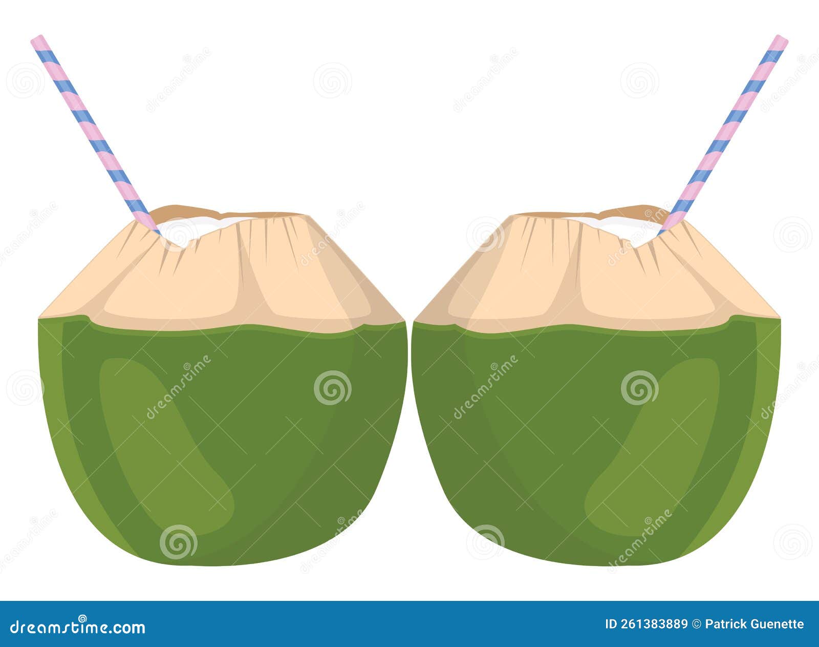 Coconut water, icon stock vector. Illustration of healthy - 261383889