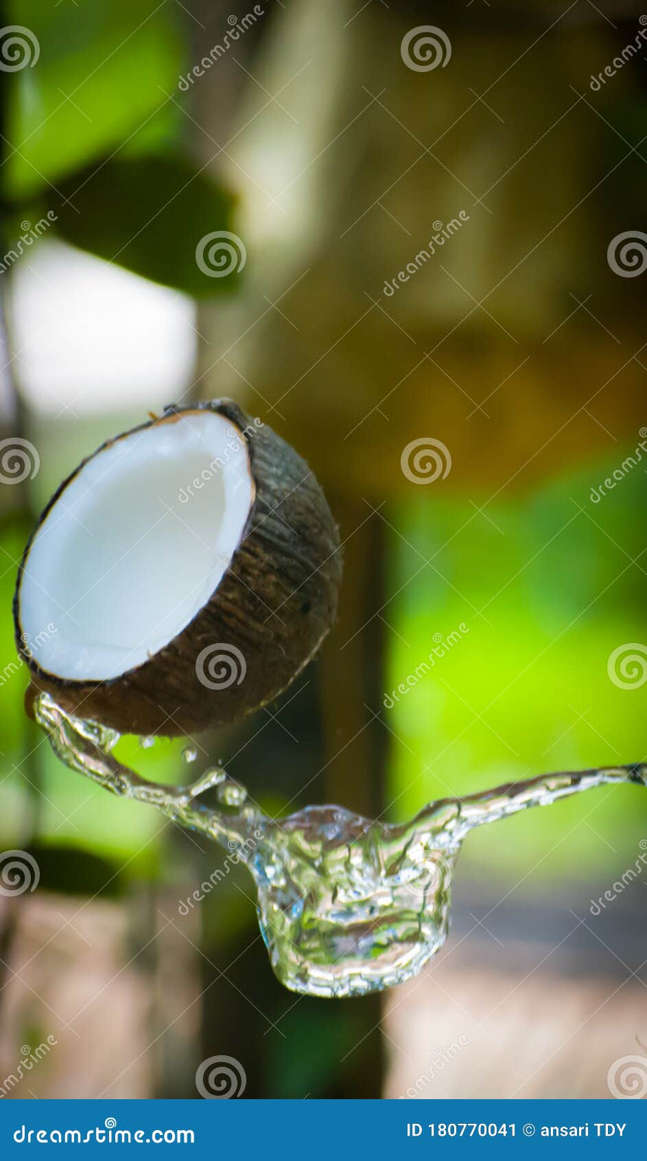 Coconut water splash stock image. Image of green, indian - 180770041