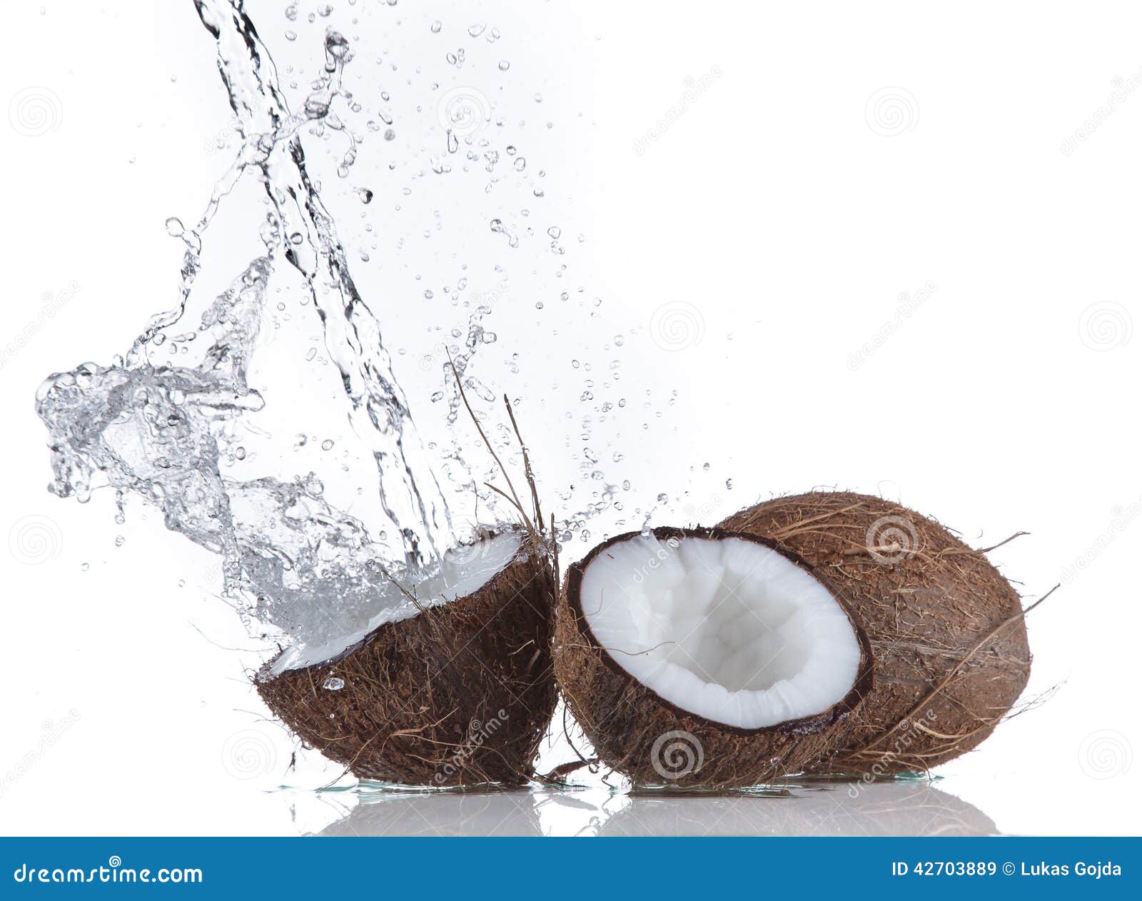 Coconut with water splash stock image. Image of lime - 42703889