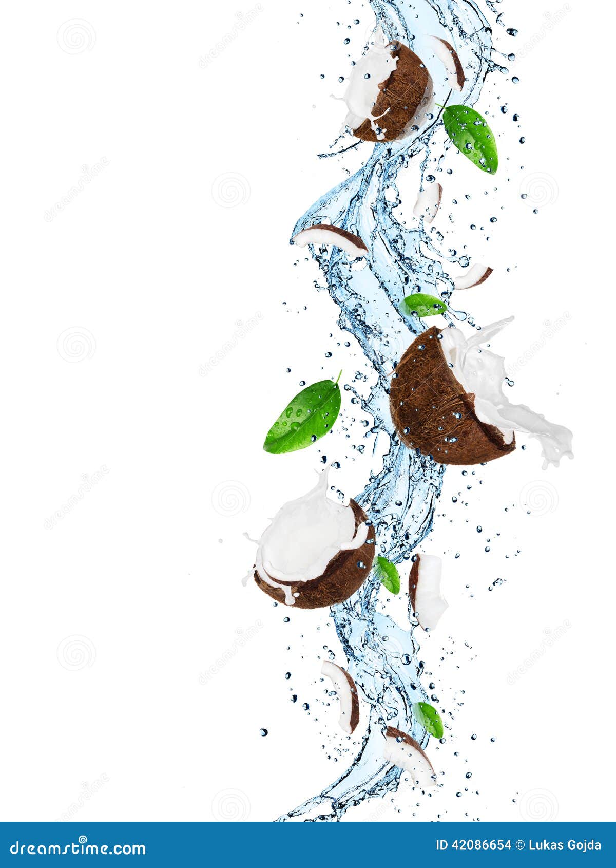 Coconut in water splash stock photo. Image of freshness - 42086654