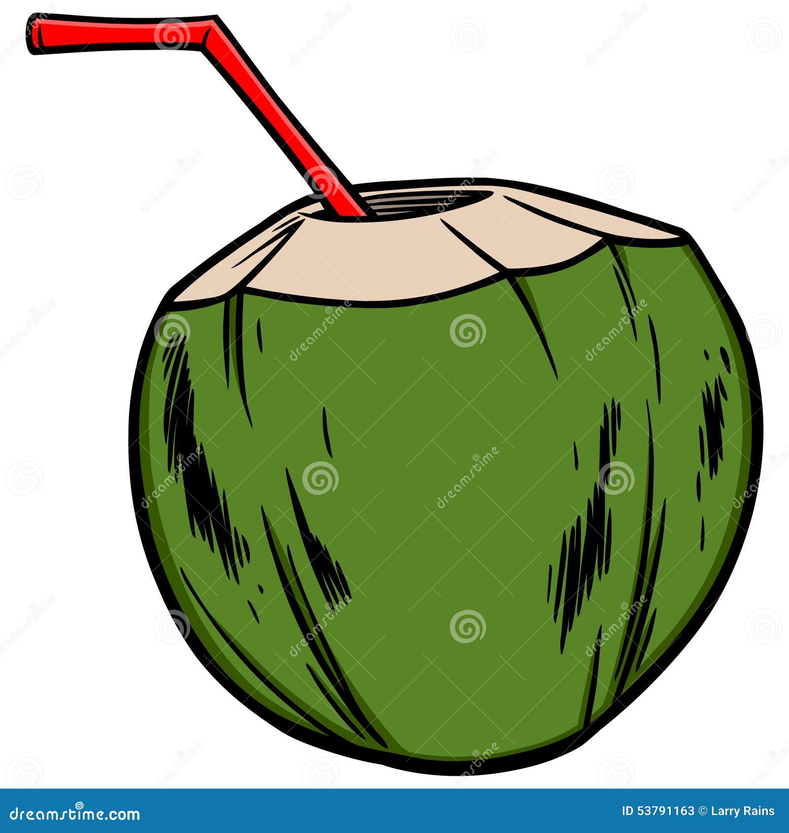 Coconut Water Set. Vector Realistic Coconuts And Water Splashes ...