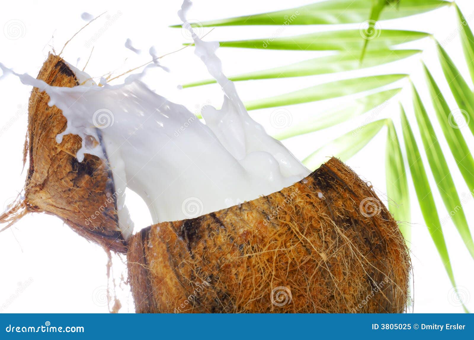 Smash Coconut On A Black Background With An Iron Hammer Blow, Spray Of ...