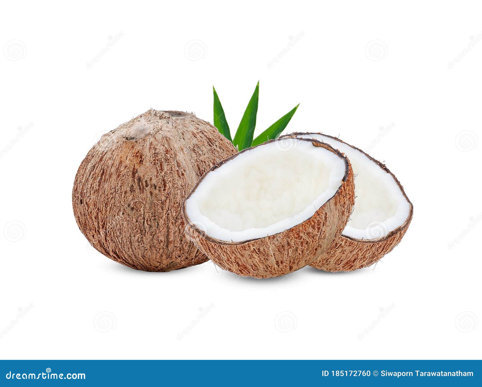Coconut on a White Background Stock Photo - Image of summer, healthy ...