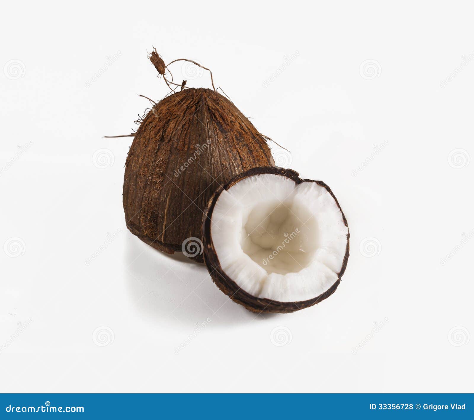 Coconut stock photo. Image of details, round, food, tropical - 33356728