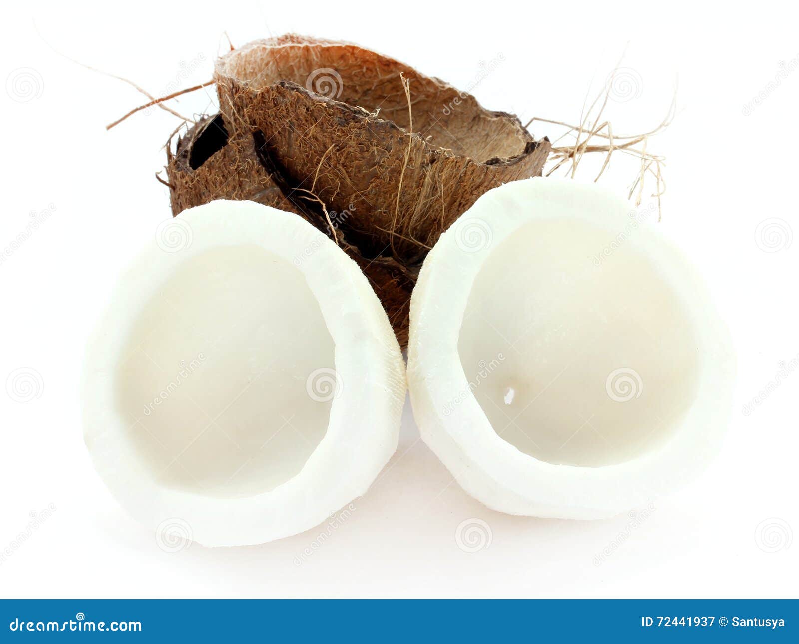 Coconut on White Background Stock Image - Image of nutrition, exotic ...